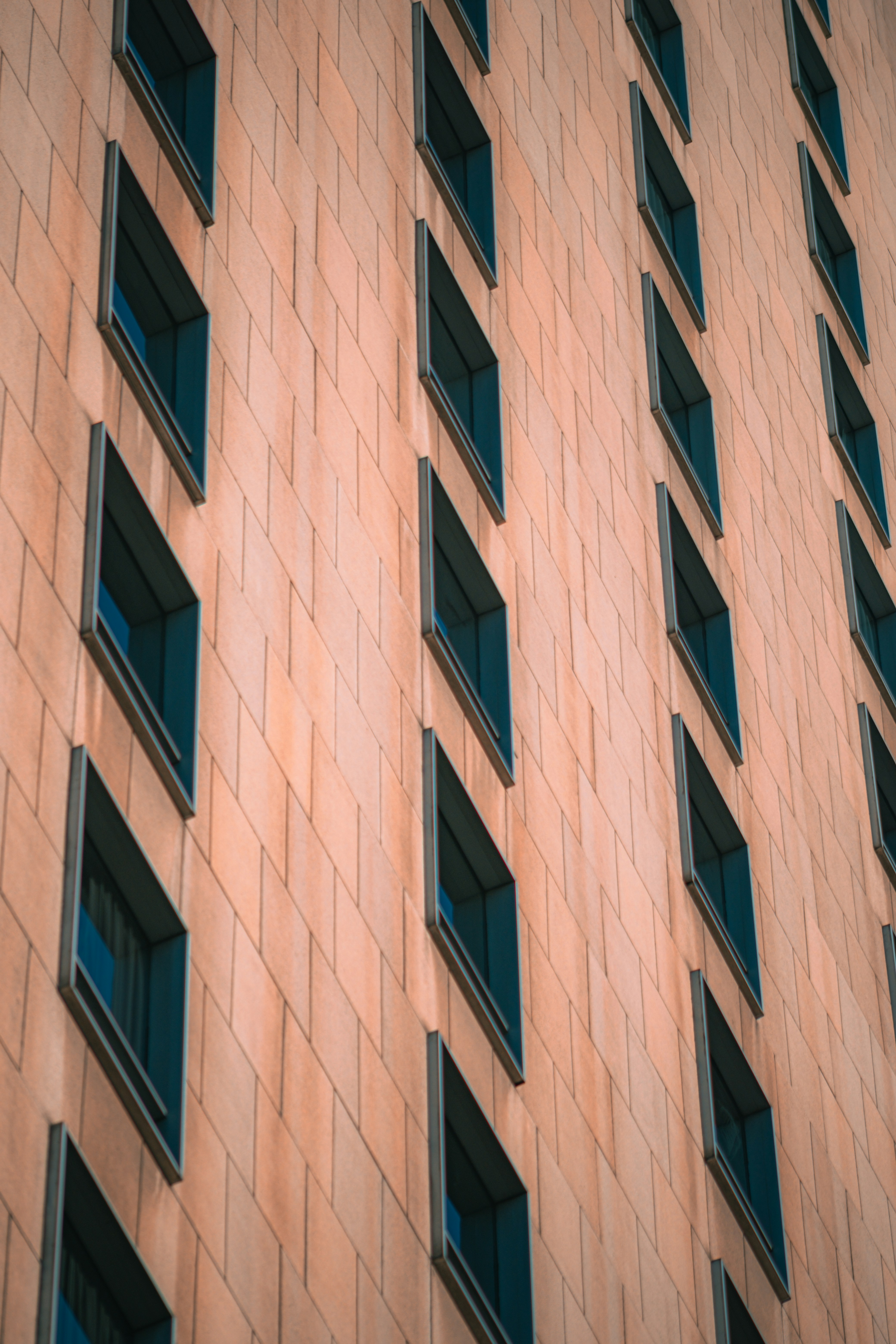 Desaturated Facade: A Silhouette of Repeating Windows