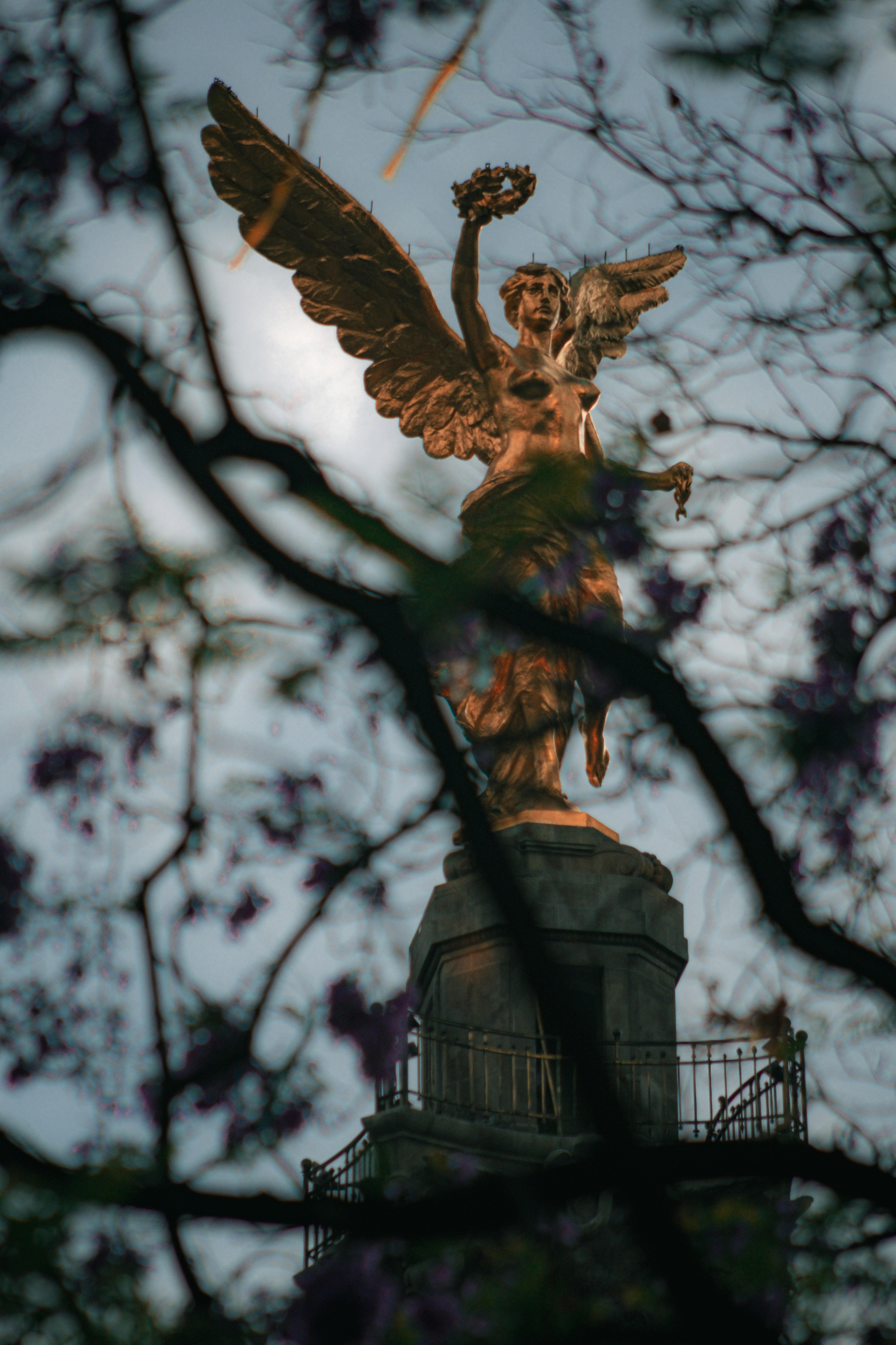 Winged Guardian Rising Above Floral Veil
