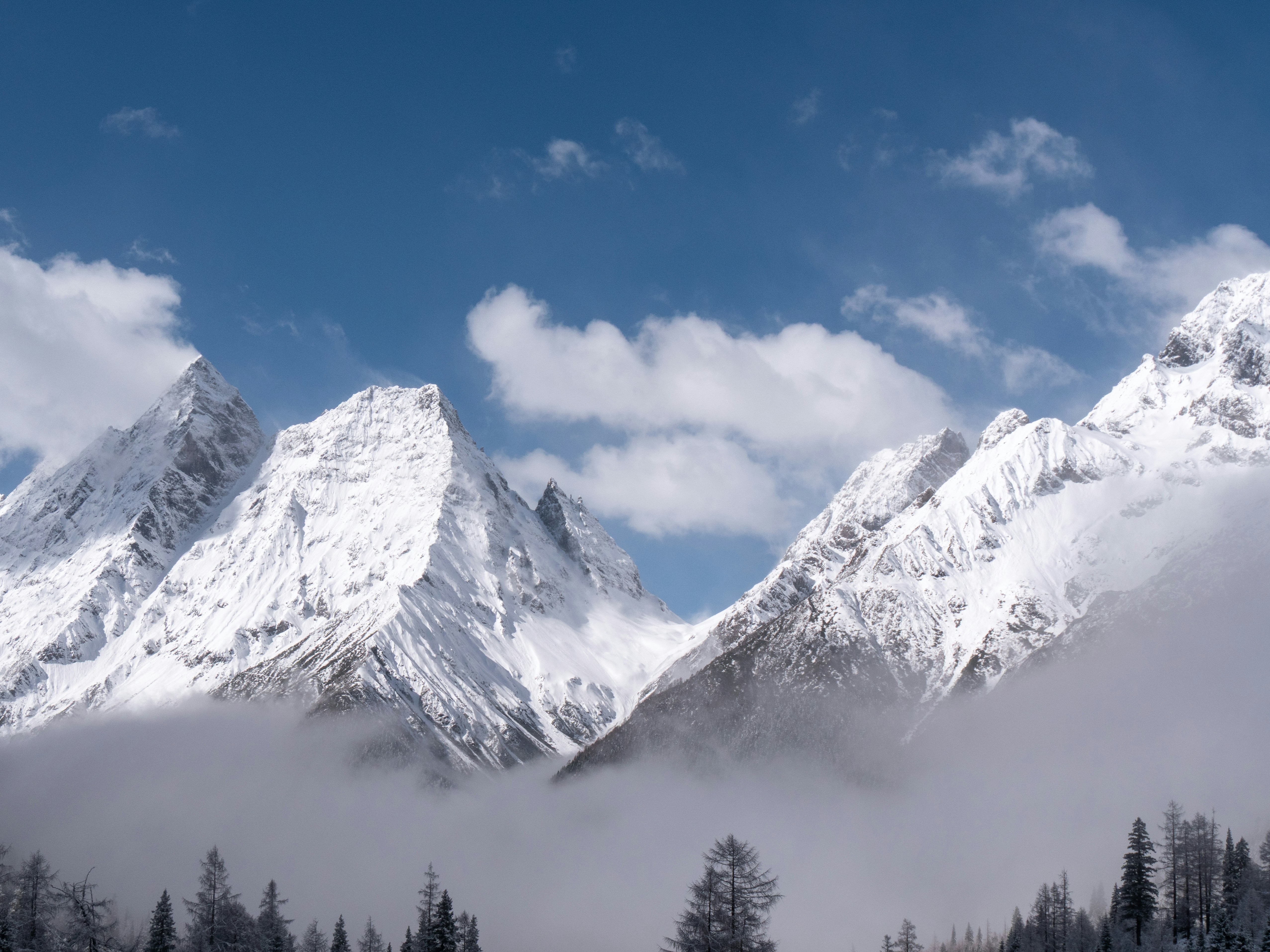 Twin Summit Dawn Veil over Alpine Pines