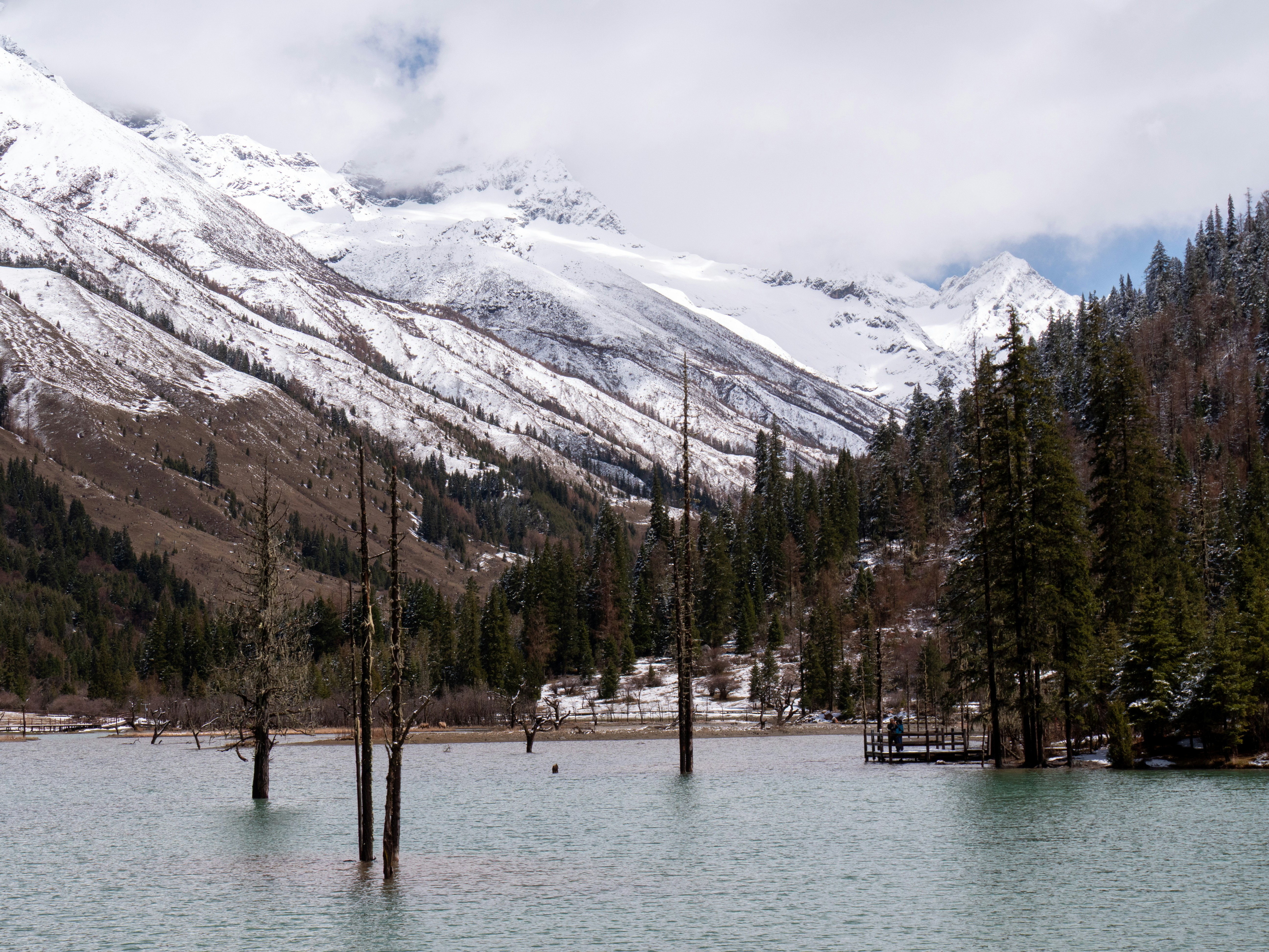 A Glacier-Trimmed Alpine Lake Surrounded by Pines