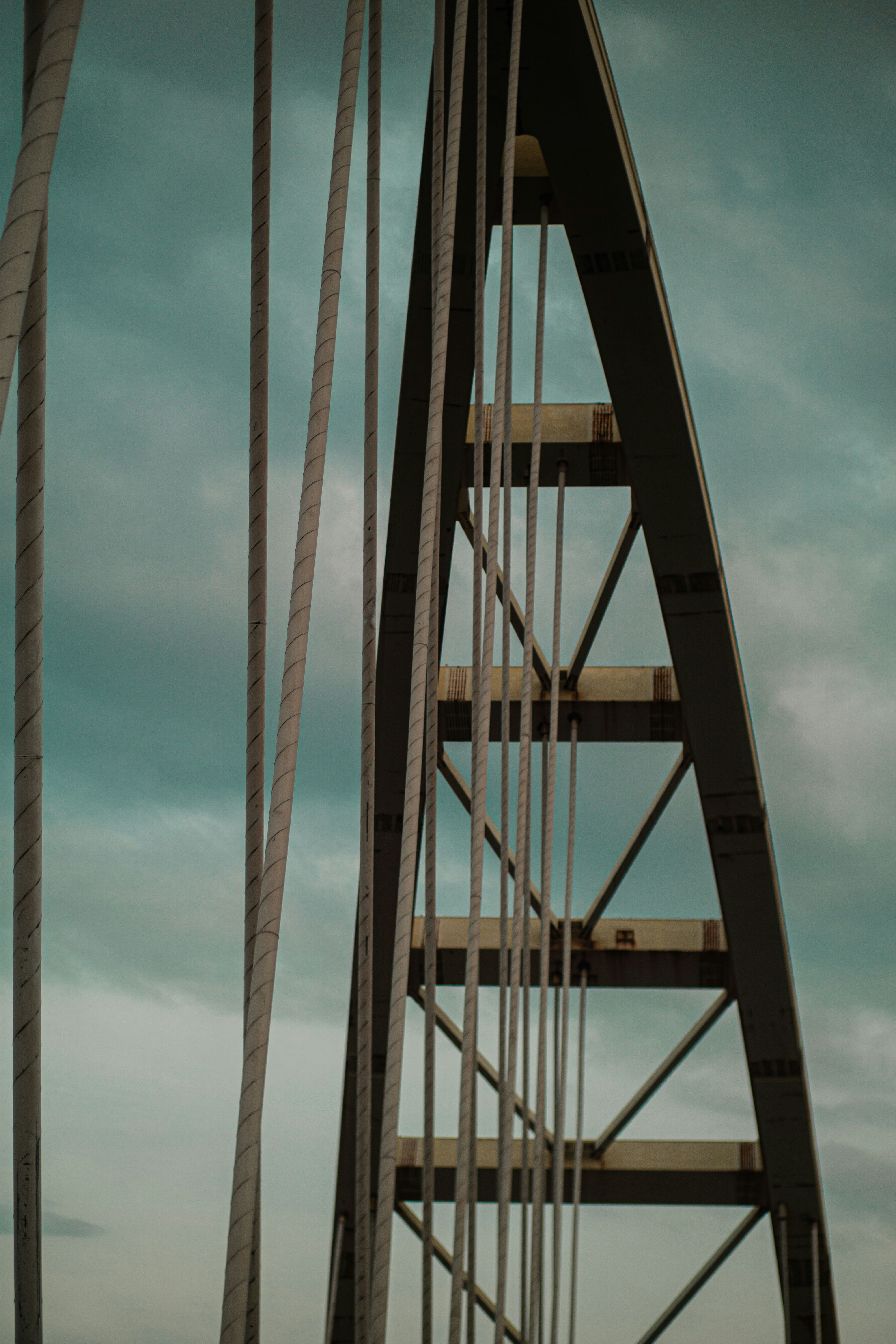 Arched Cableline Over the Void: A Close-Up of Steel Cables and Truss