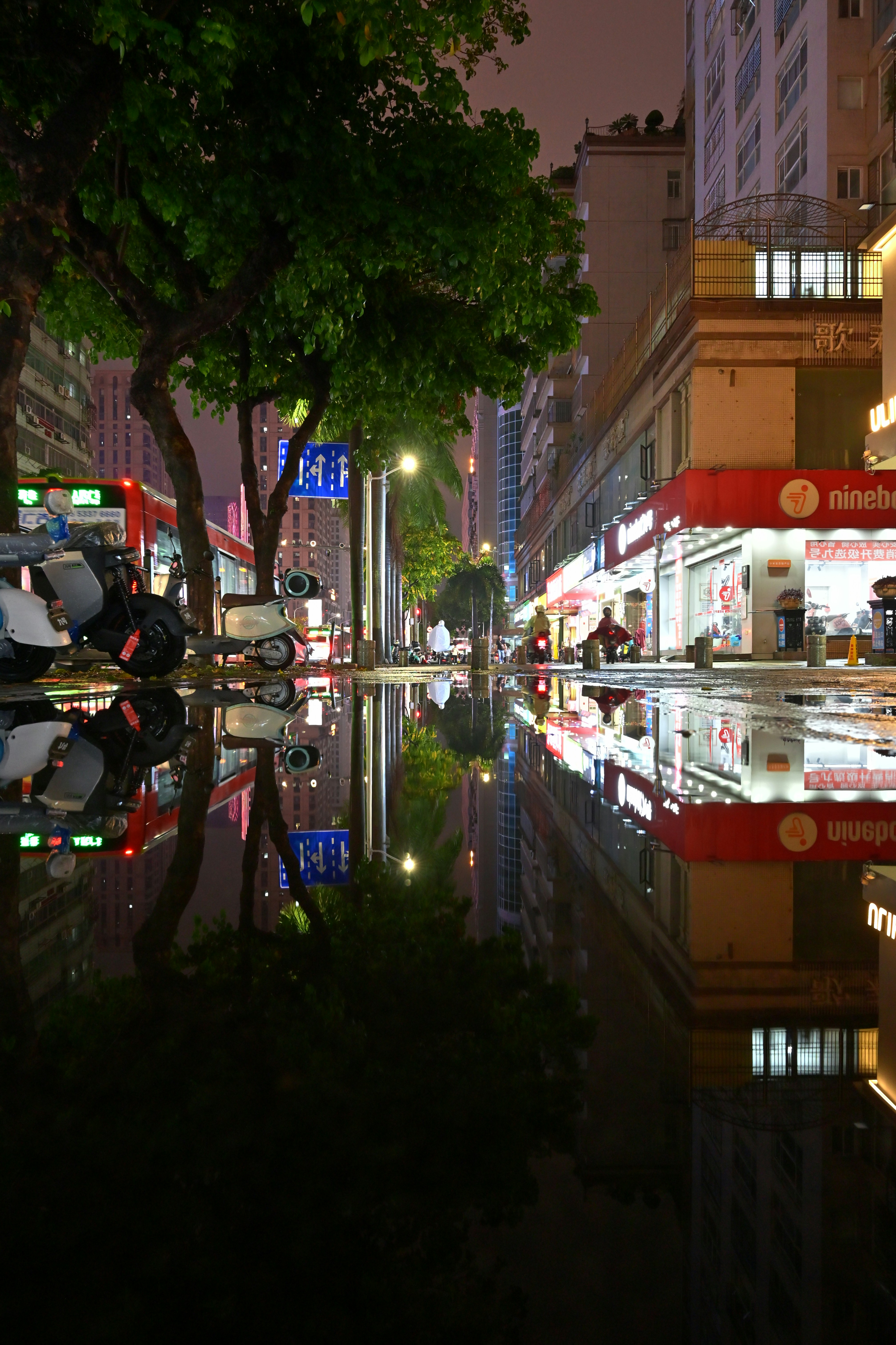 Neon-lit storefronts line a damp city street with towering trees, their lights mirrored in a large puddle that dominates the foreground.