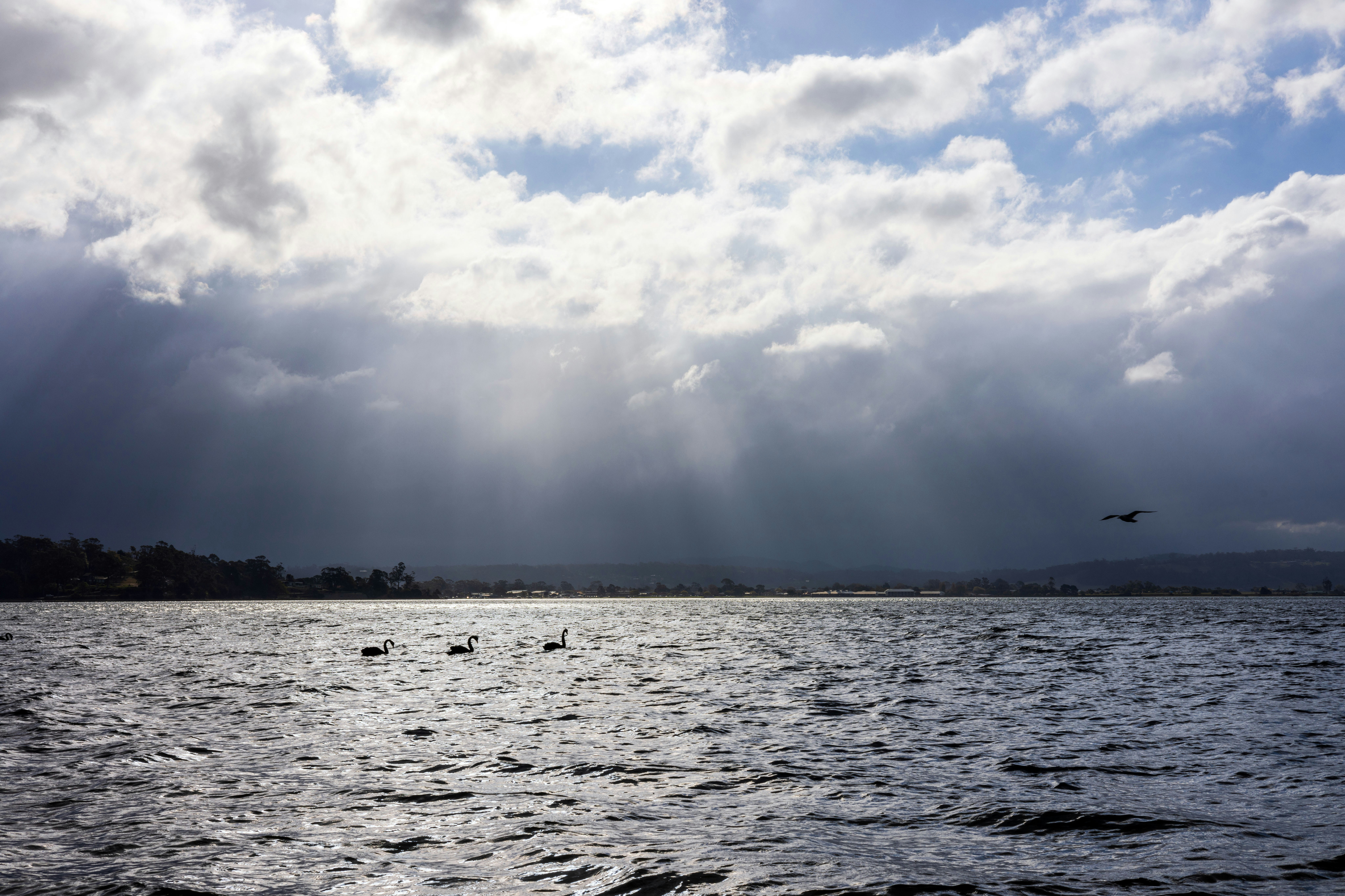 Crepuscular Rays Over a Quiet Lake