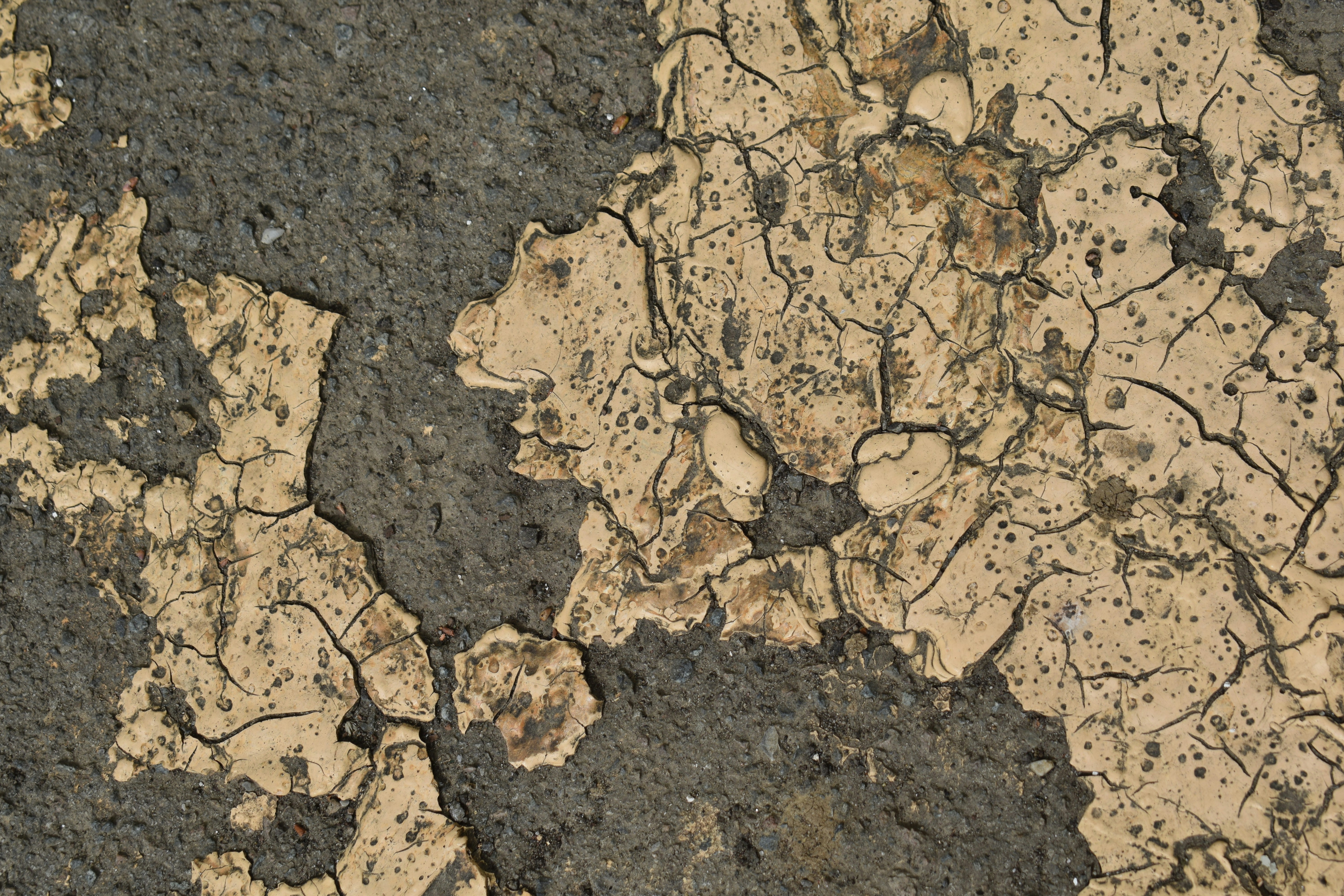 Parched Grid: Cracked Earth Reveals the Quiet Texture of Drought