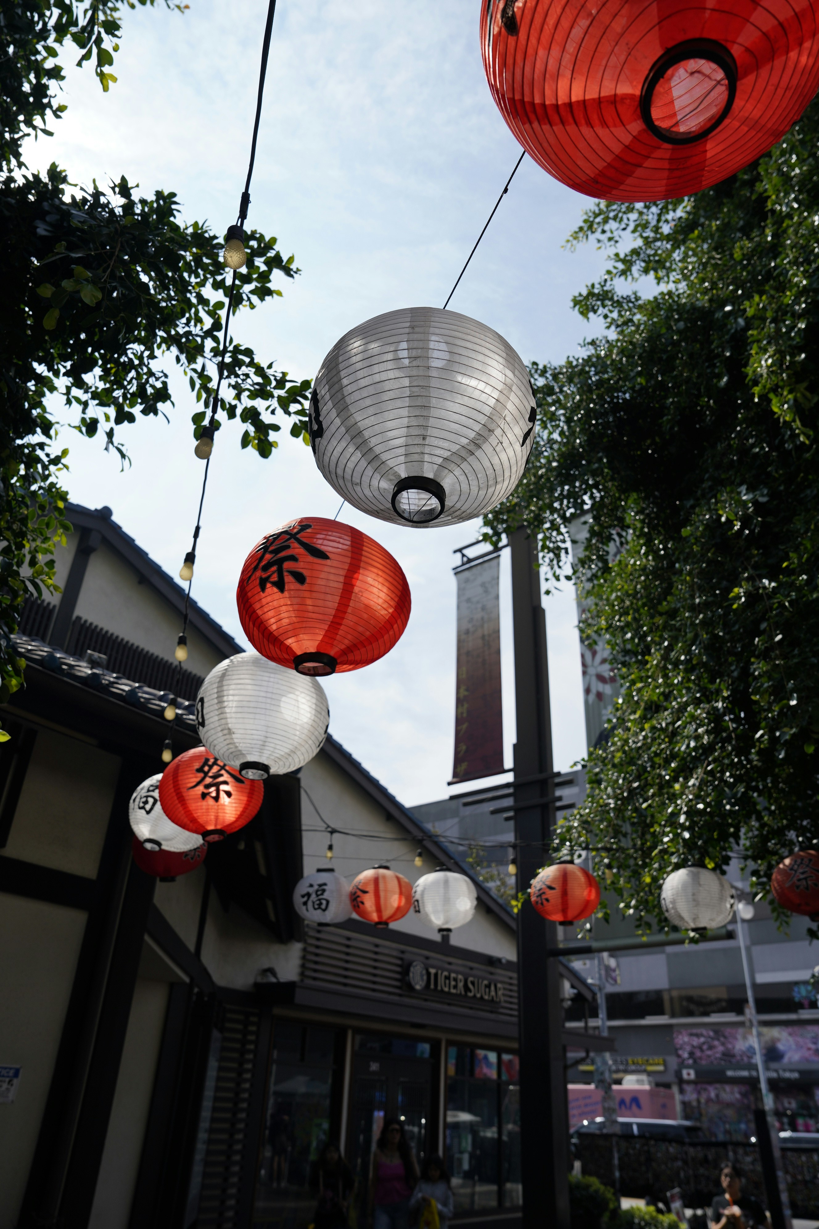 Lanterns in the Street: A Quiet Festival Above the Market