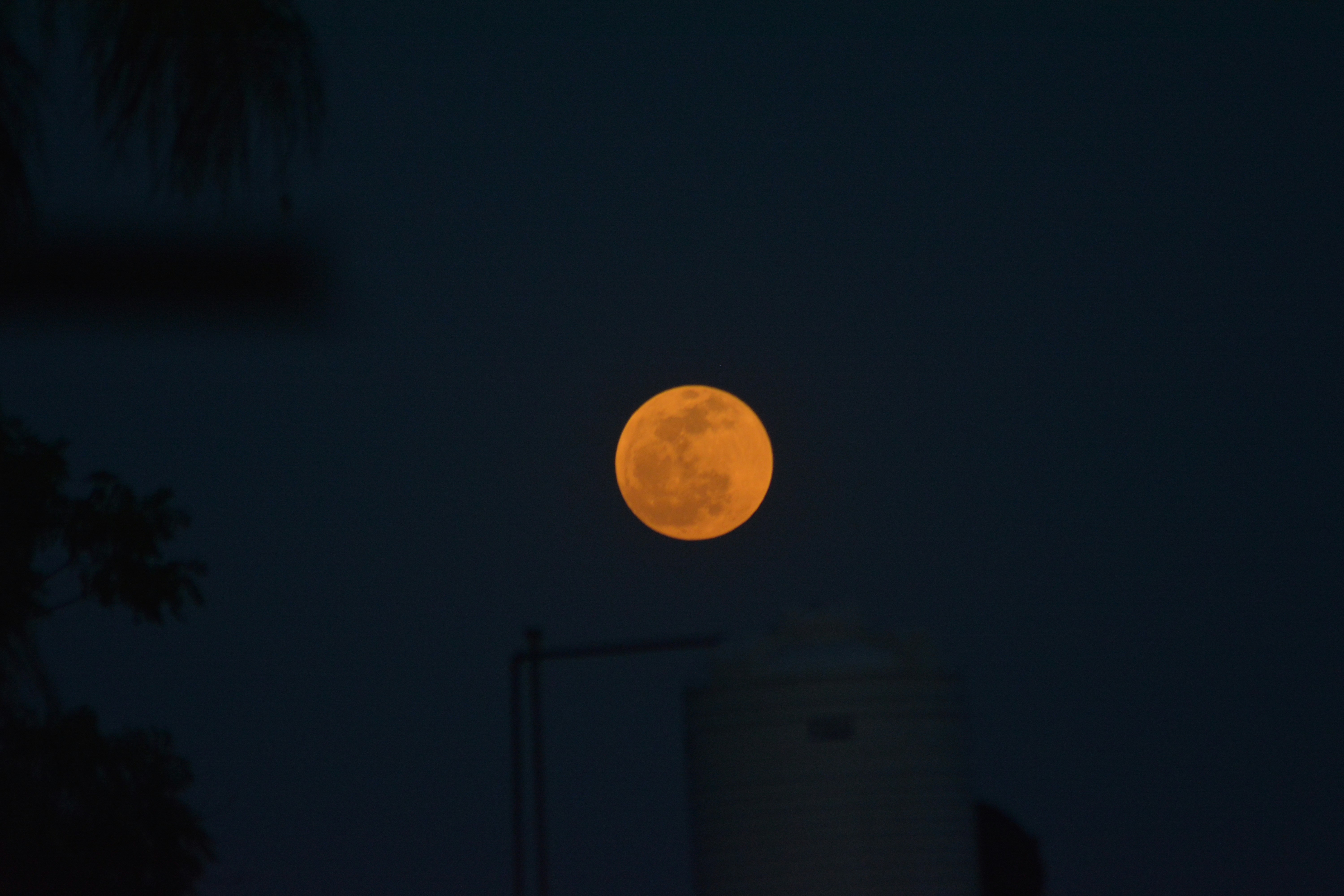 Moonlit Orange: A Quiet Night with a Bright Satellite