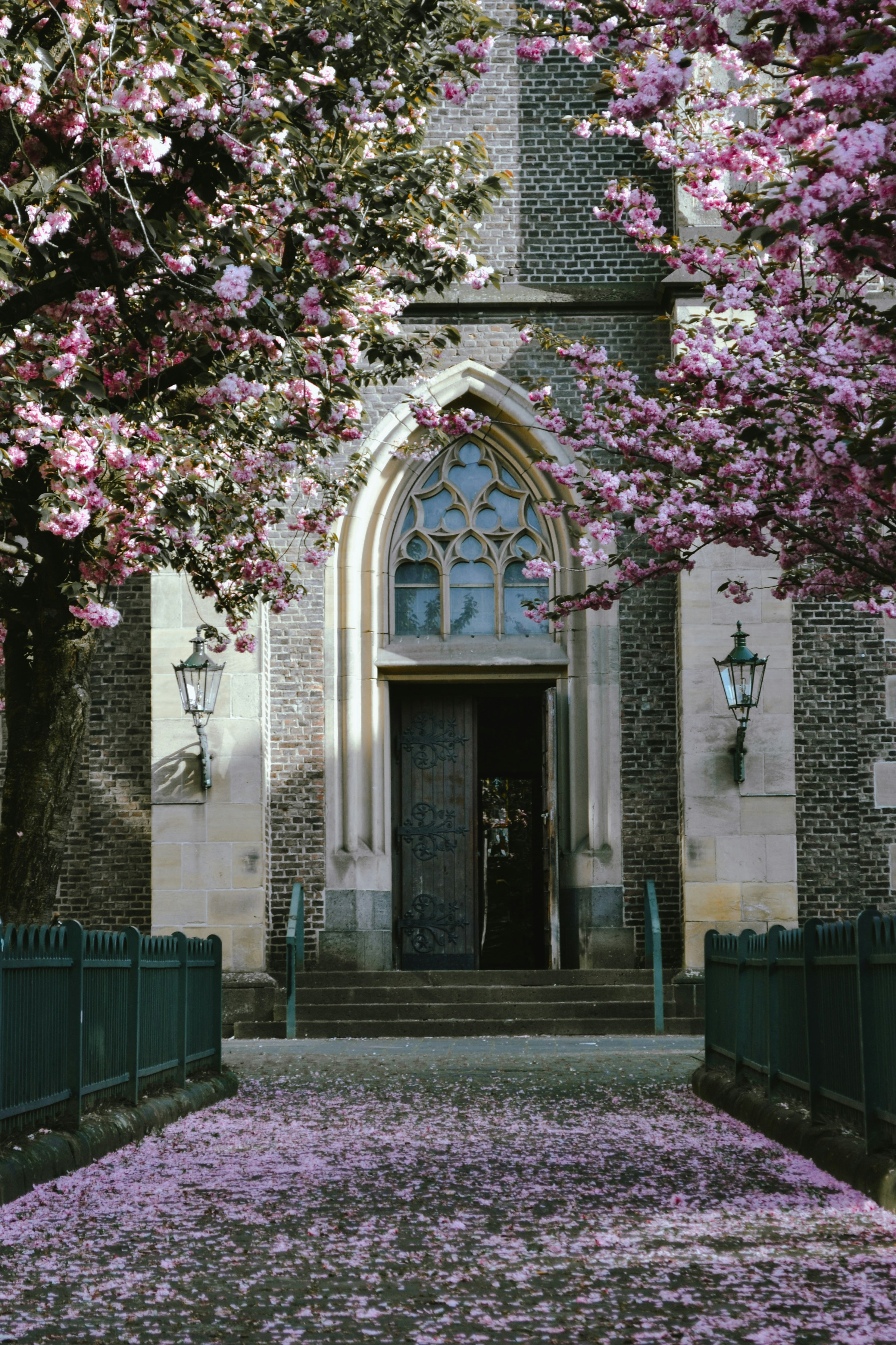 Petals on the Chapel Path: A Spring Entrance Framed by Blossoms