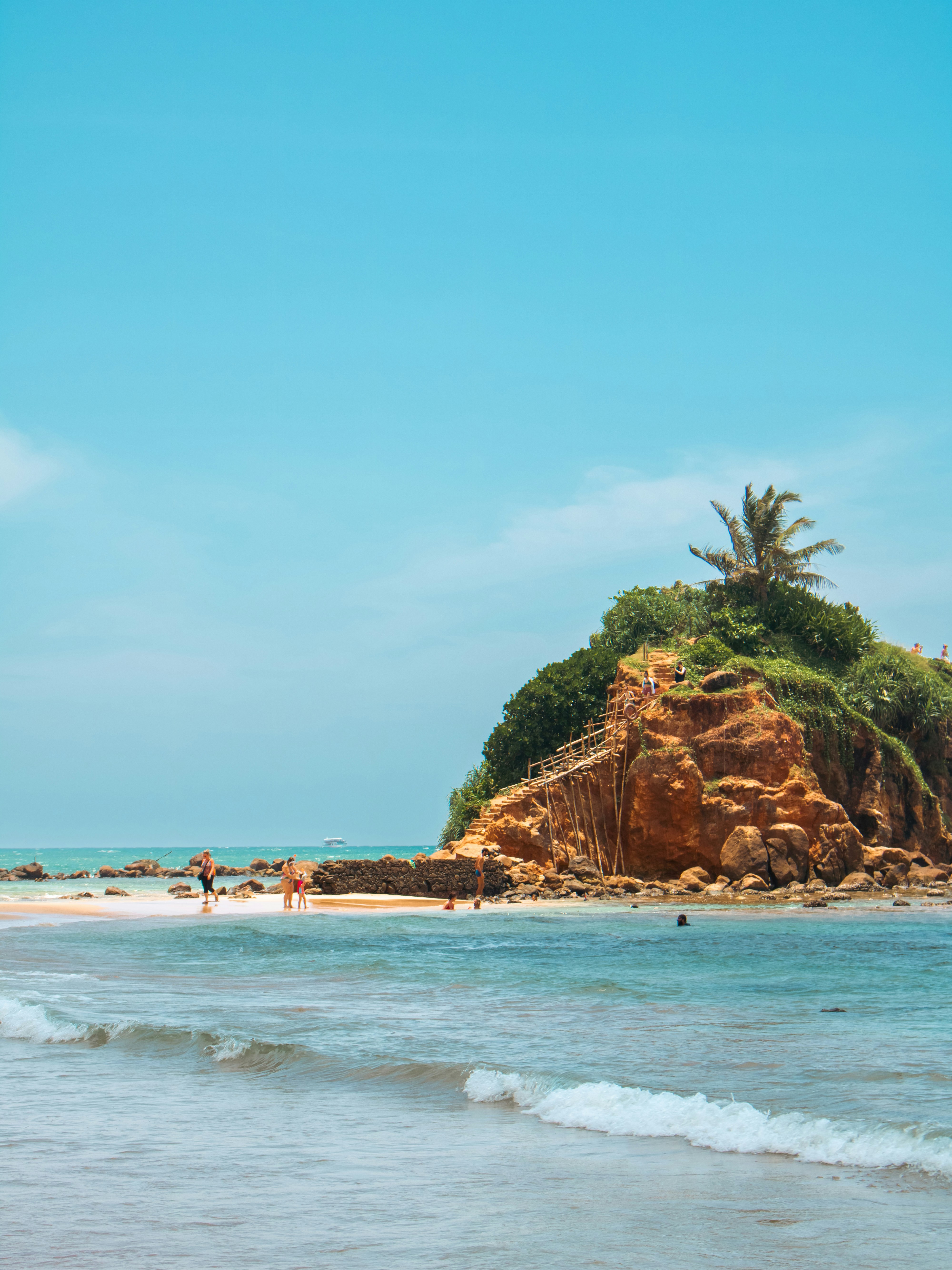 Sunlit Cove: Cliffside Greens and Palm Above the Shore