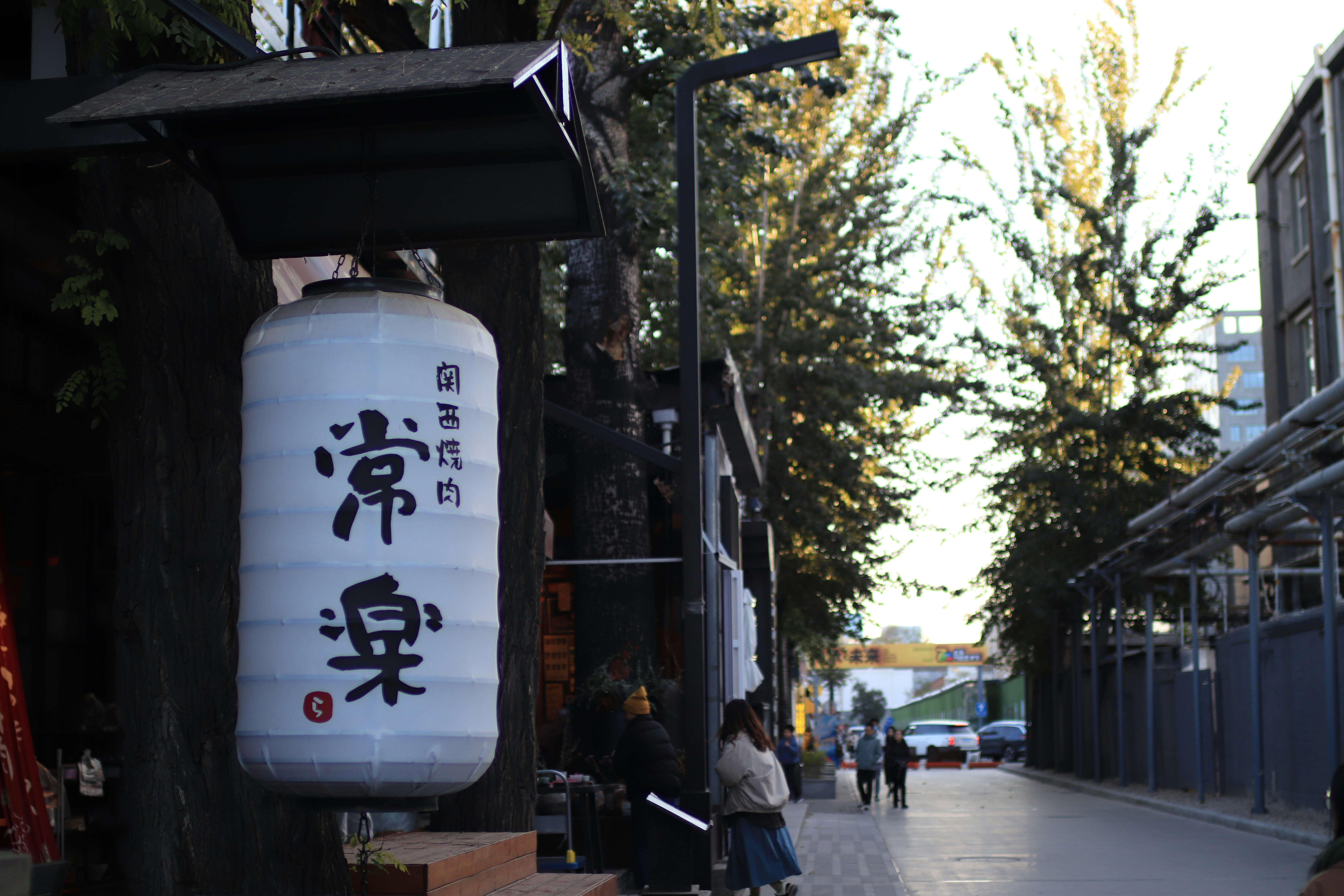 Lantern-lined Street: Quiet Path Under a Shaded Canopy