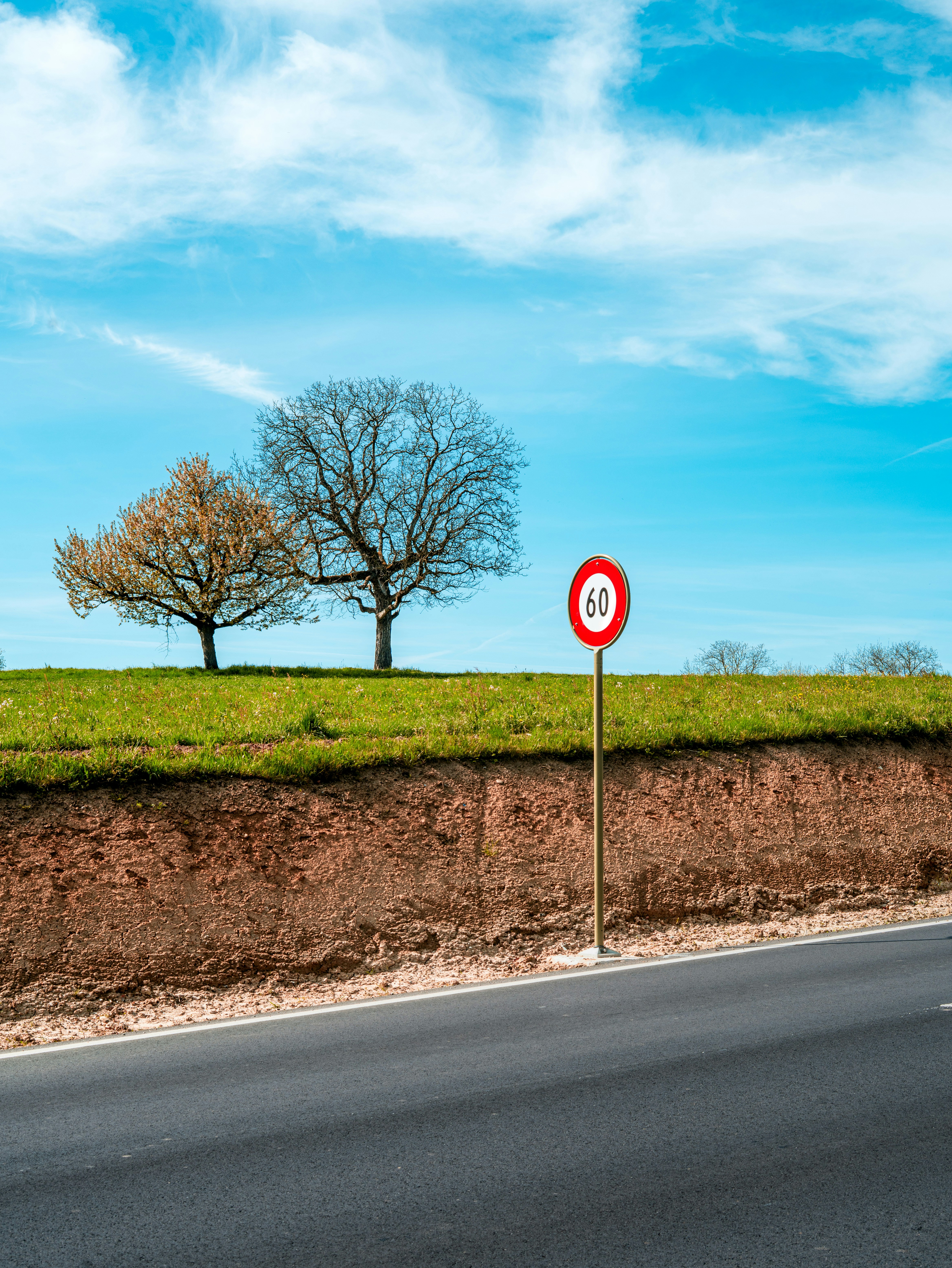 Roadside Sign and Lone Trees Under Blue Skies