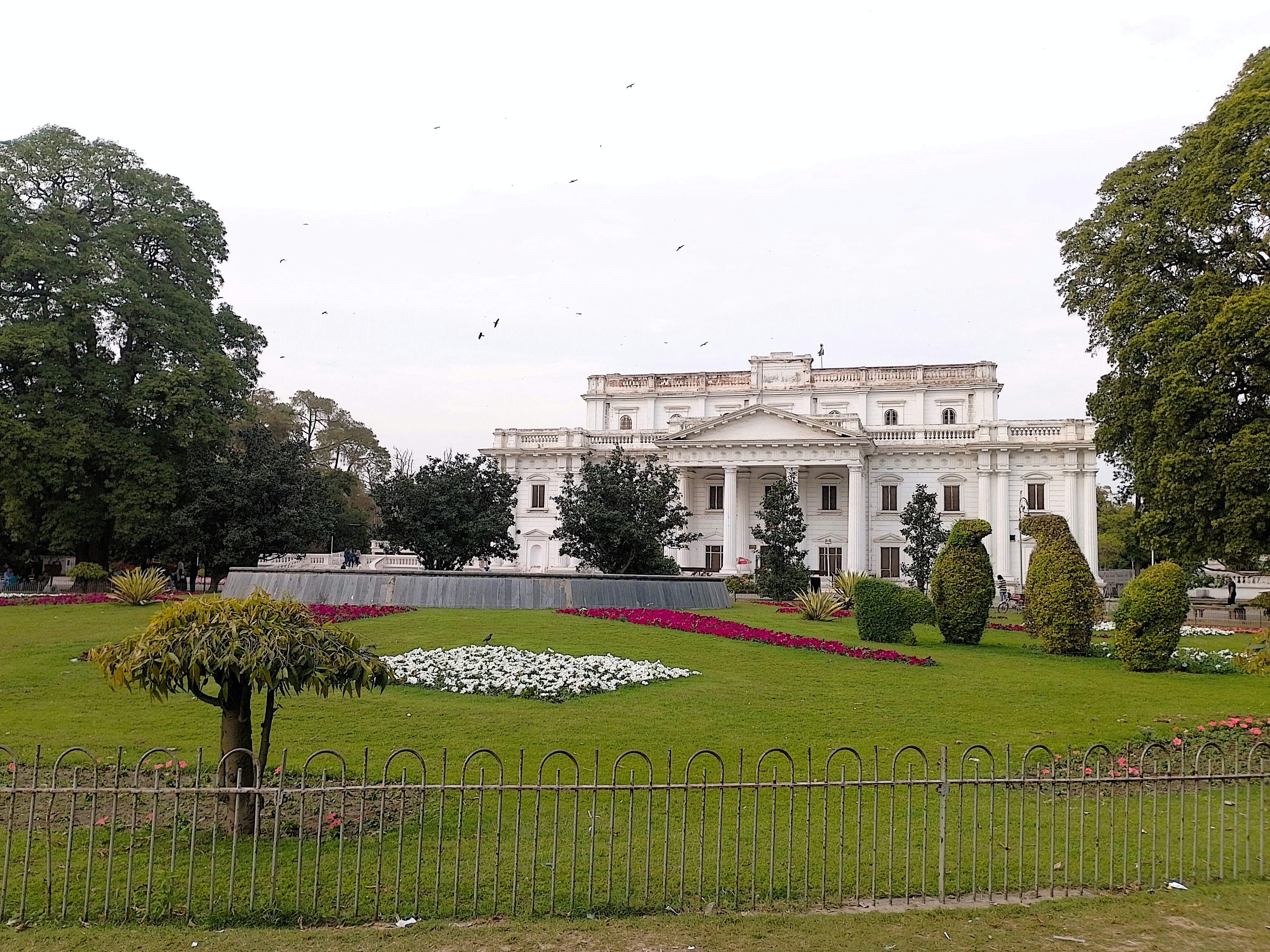 Step into a world of wisdom at Jinnah Library! 🏛️ With its impressive architecture and serene lawn, it's the perfect spot to unwind and dive into a good book. What’s on your reading list? Let us know! 📖