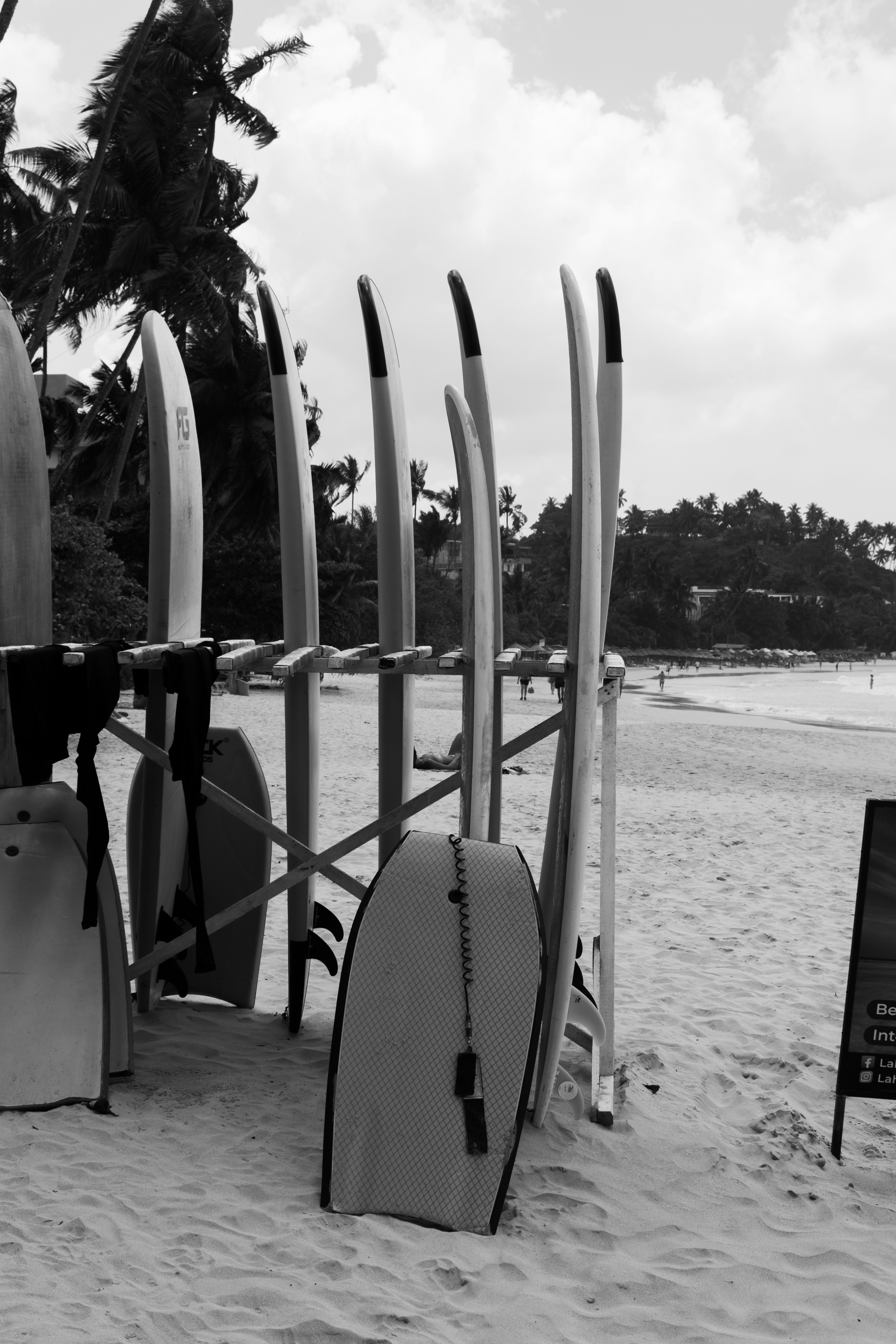 Shoreline Monoliths: Surfboards Stand Tall Against a Quiet Beach