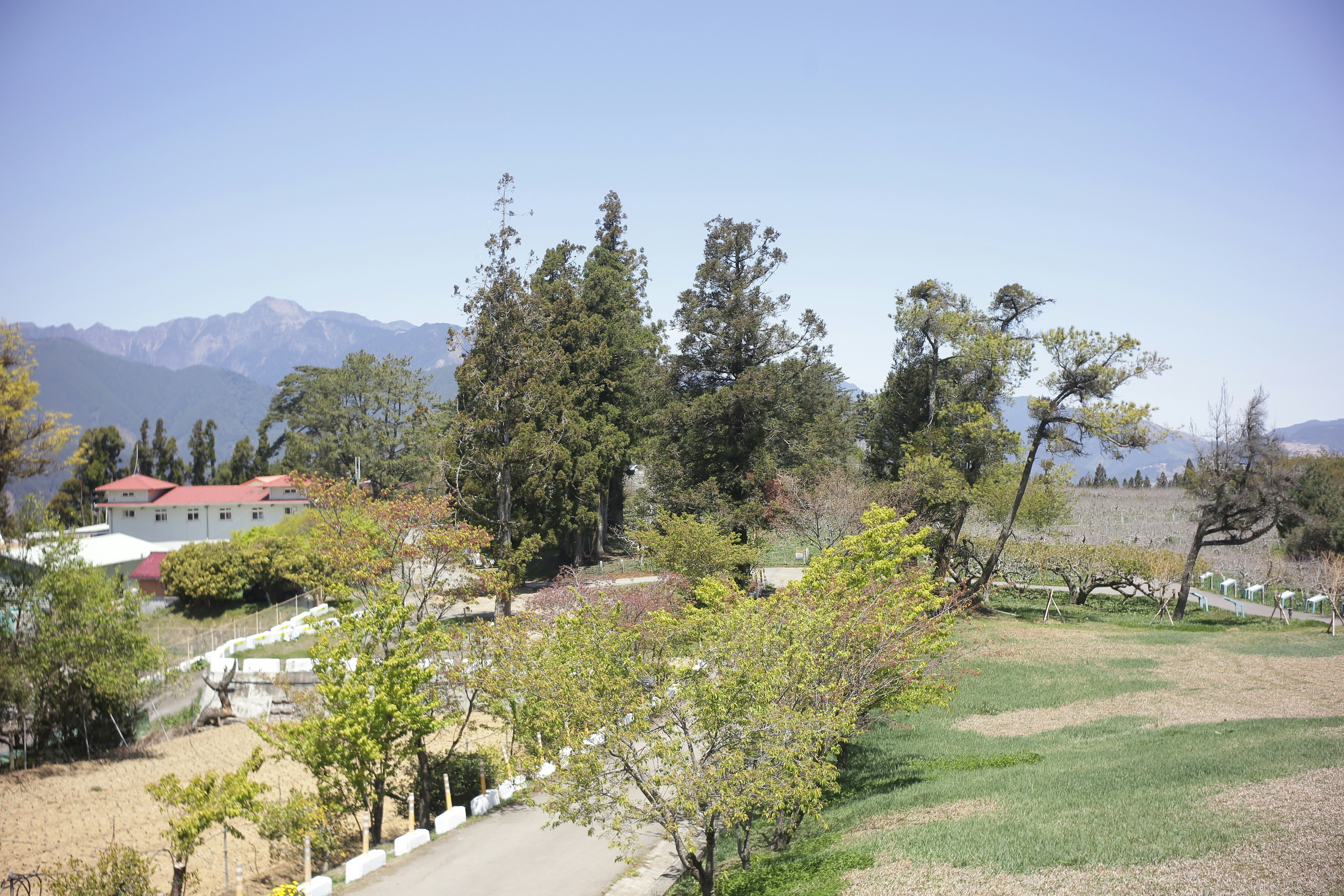 Sunlit Ridge: A Quiet Suburban Meadow Beneath Distant Peaks