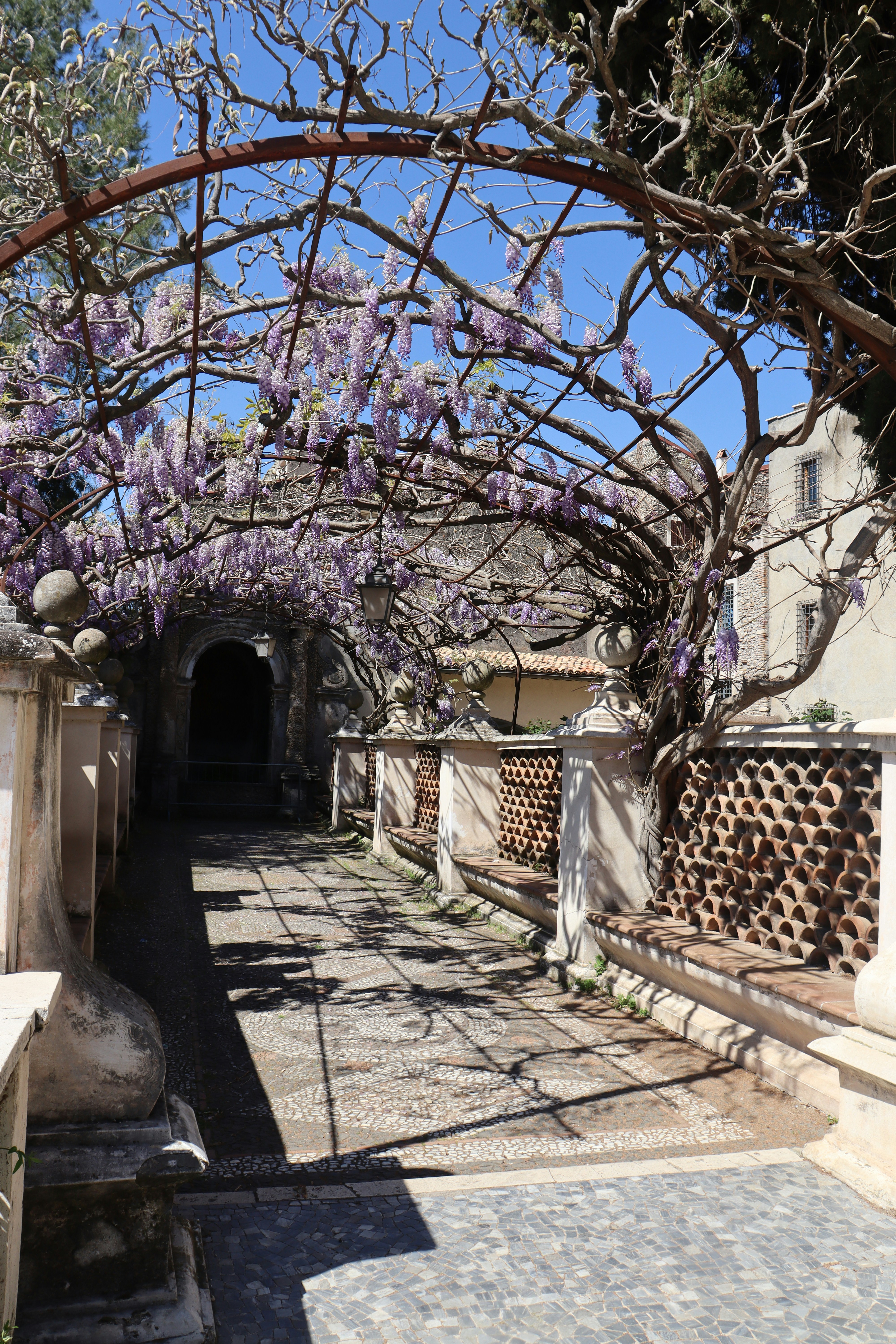 Wisteria-arched Terrace to a Shaded Entrance