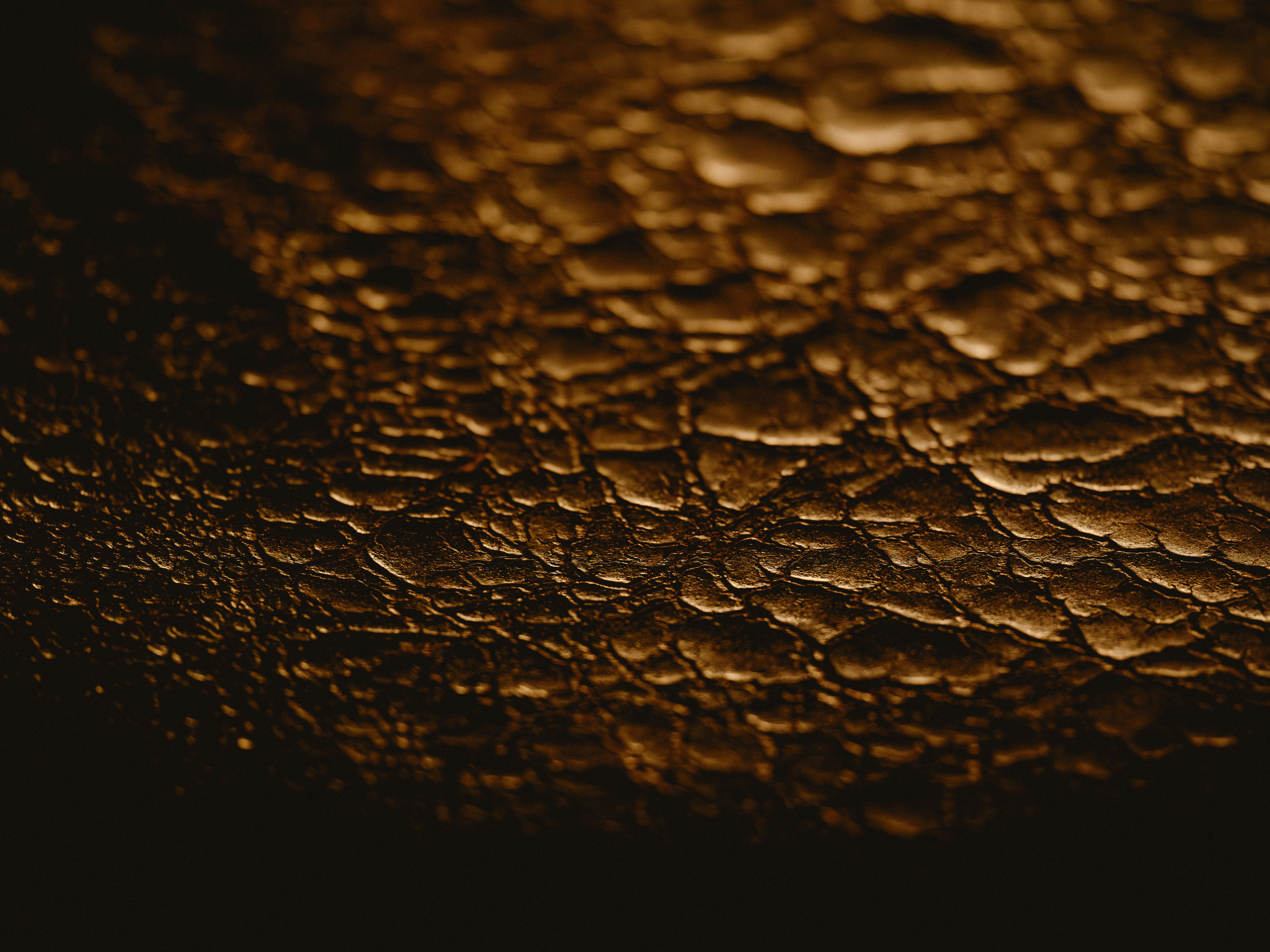 Cracked Emberscape: A Warm Pebbled Texture in Low Light