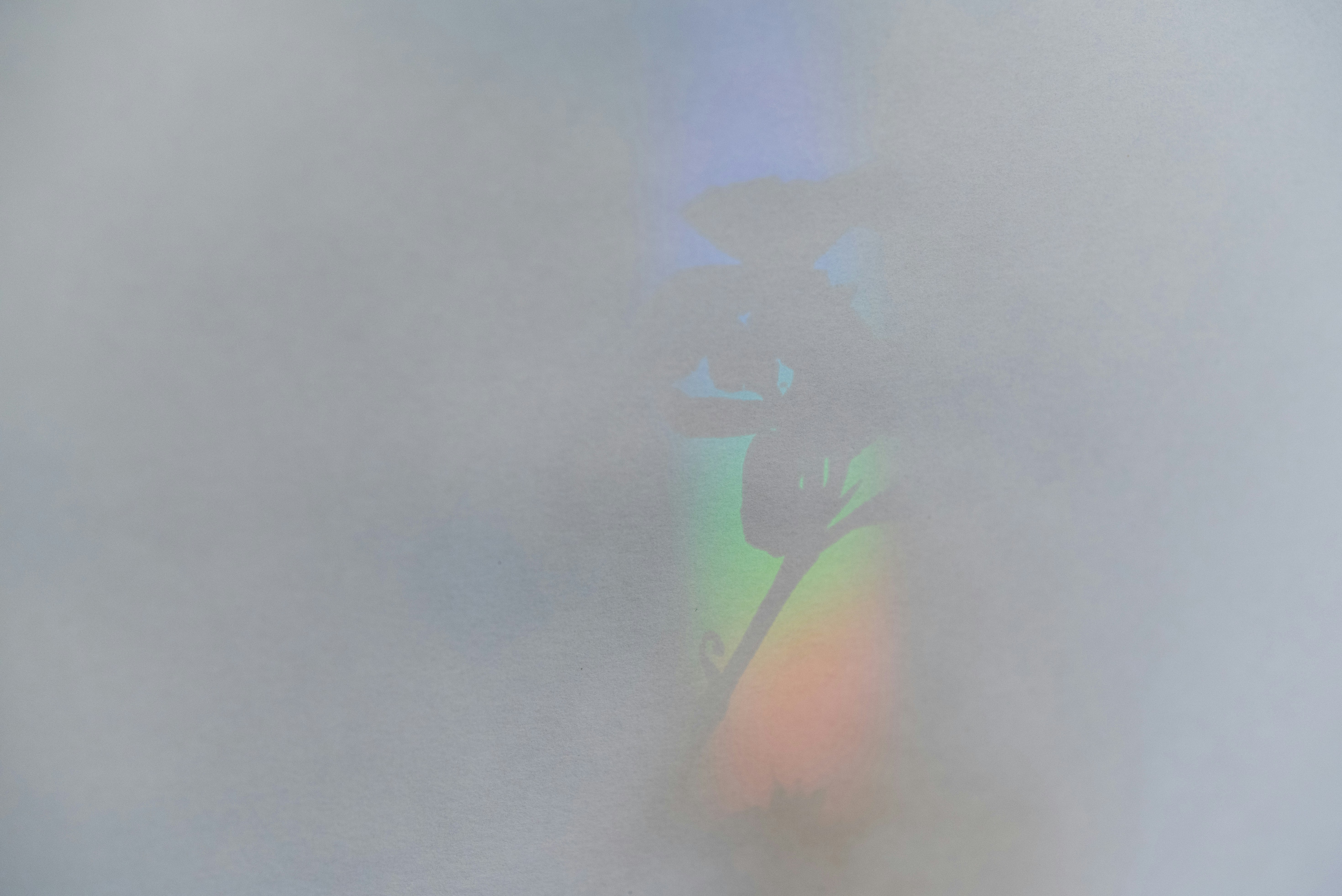 Colorful silhouette through pale haze: a hidden subject emerges