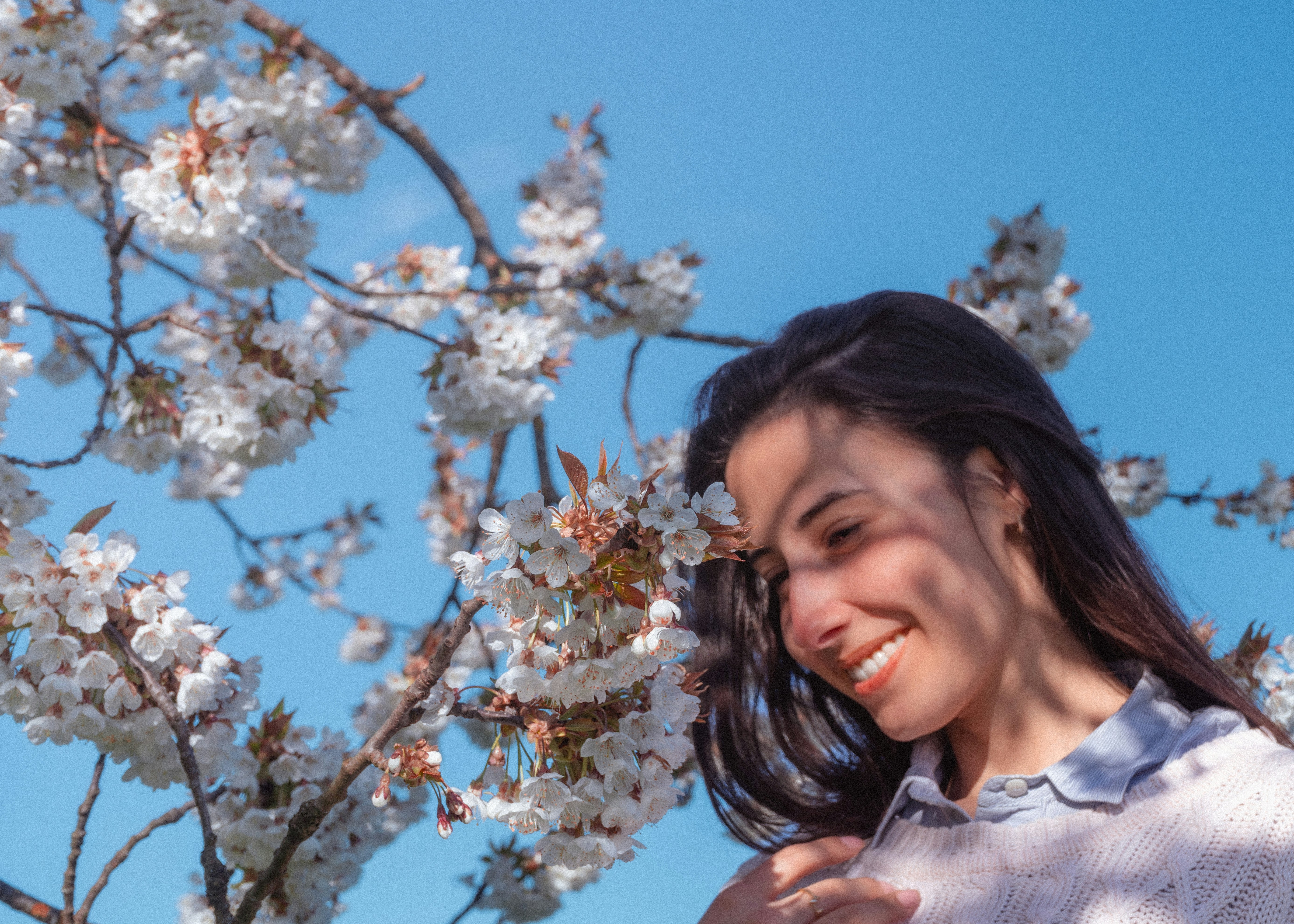 Blossoms and a Warm Smile: Portrait Beneath Spring Sky