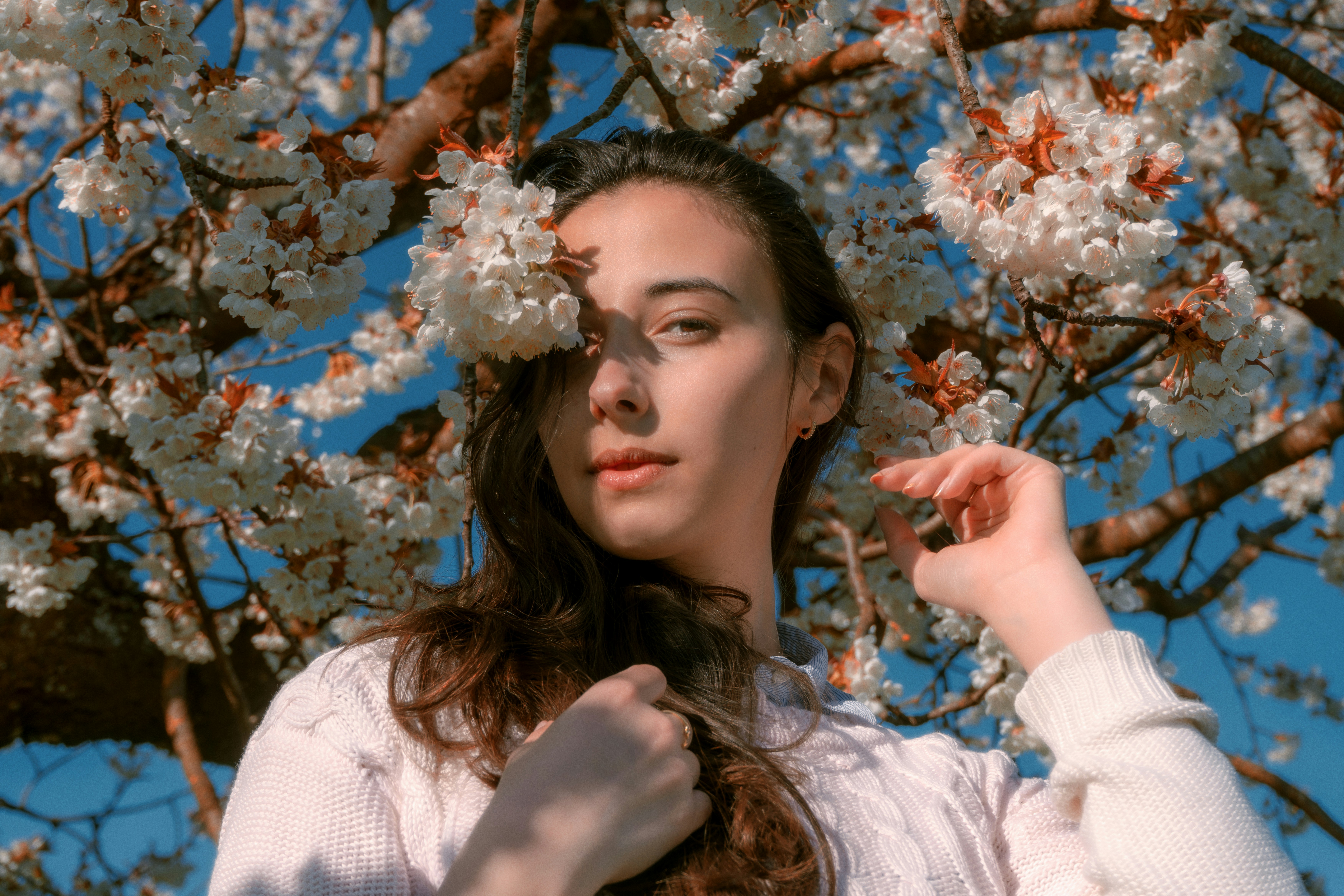 Blossoms and Portrait under a cerulean canopy