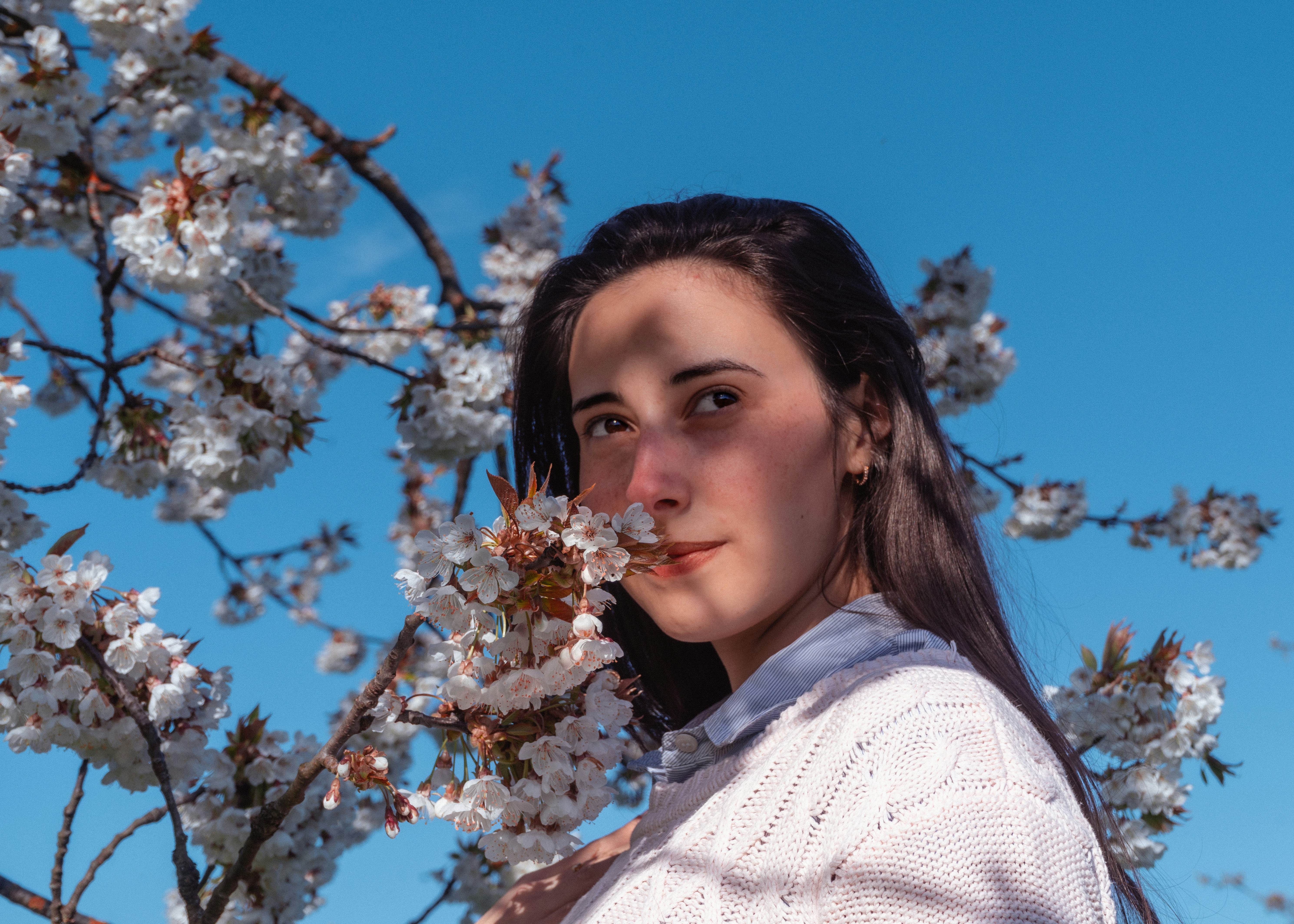 Cherry Blossom Portrait: Soft Light on a Quiet Smile