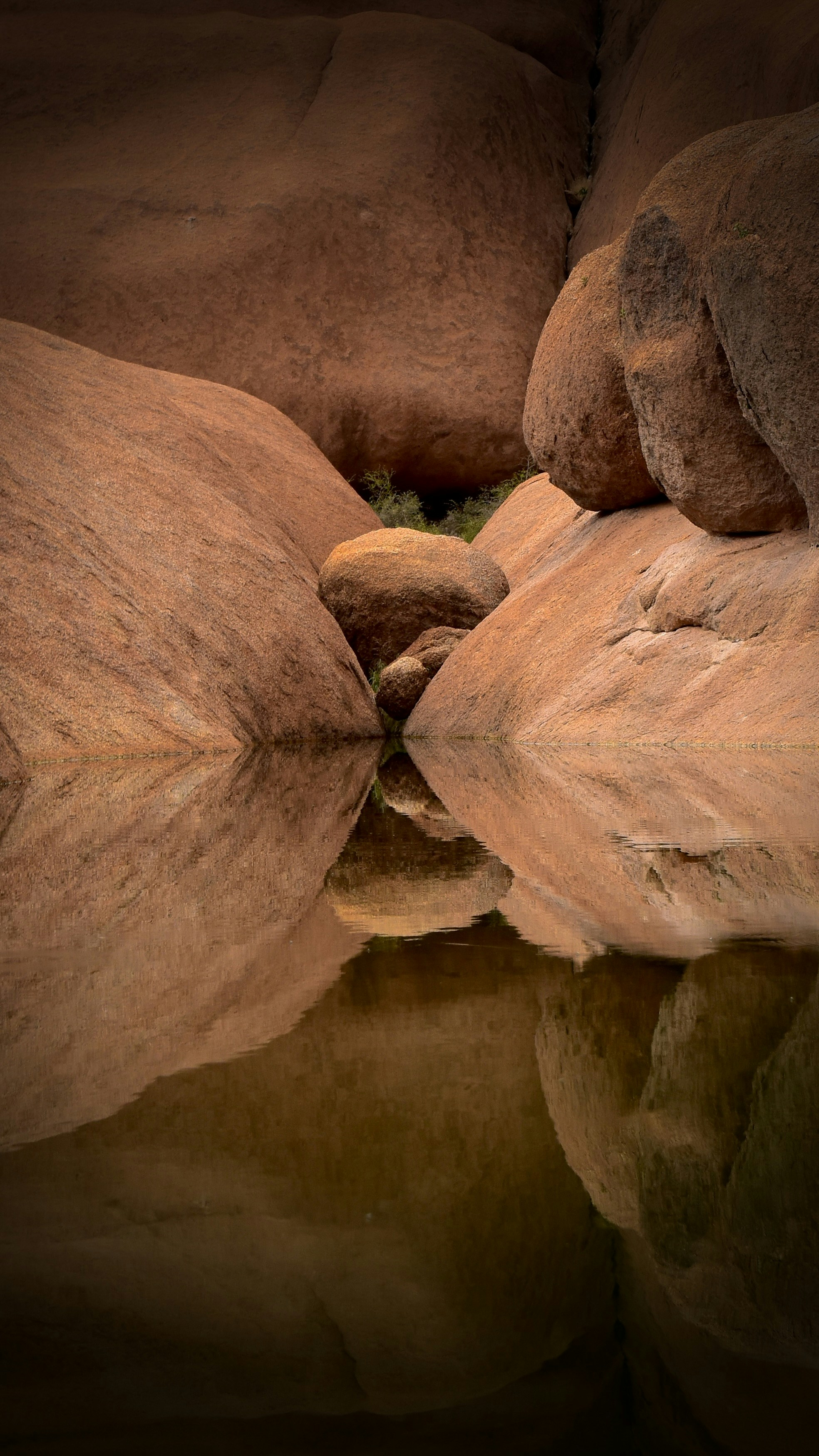 Reflection in Coral Granite: Quiet Oasis Between Stones