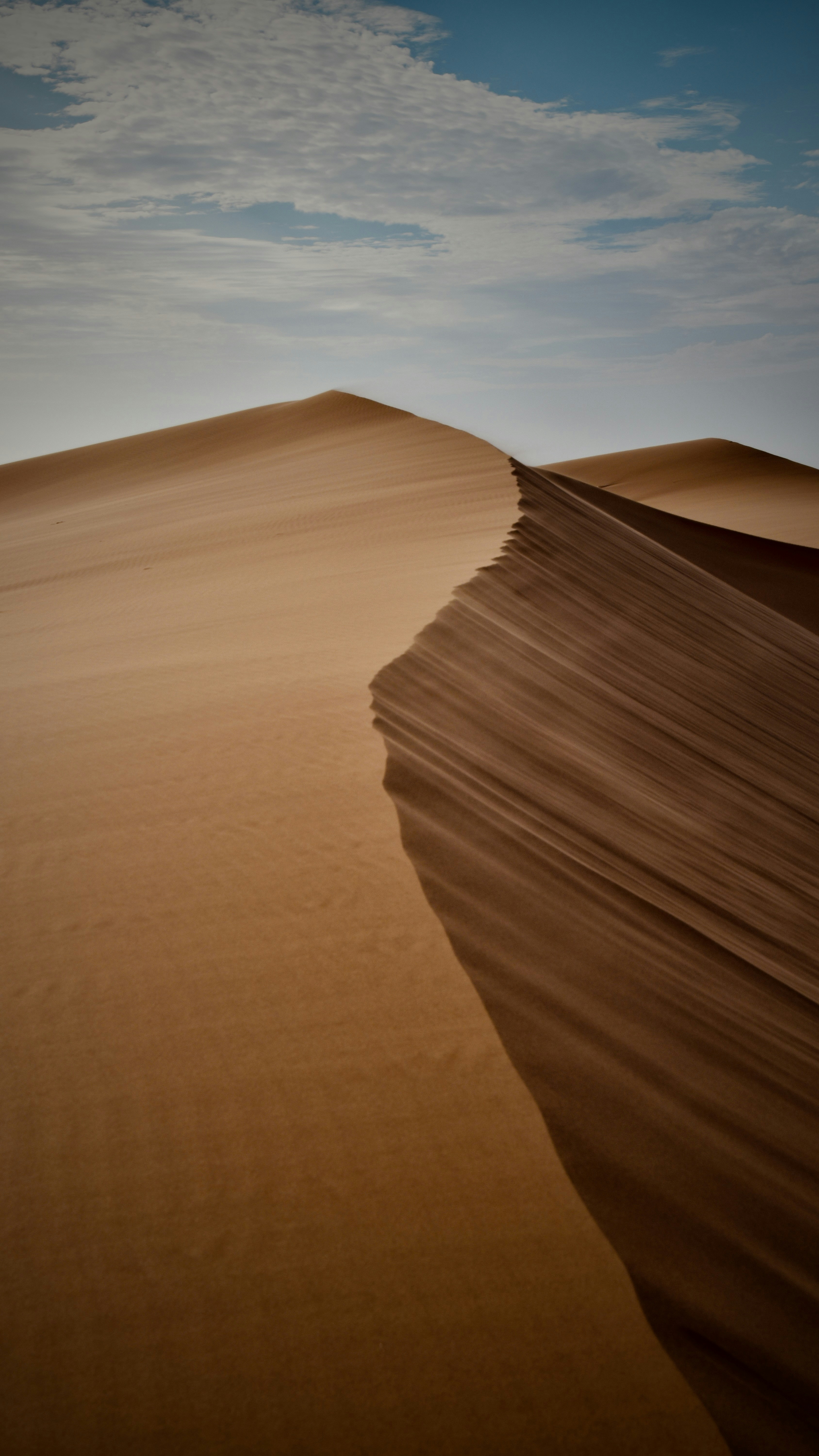 Sine of the Dune: A Wind-etched Crest Against a Quiet Sky