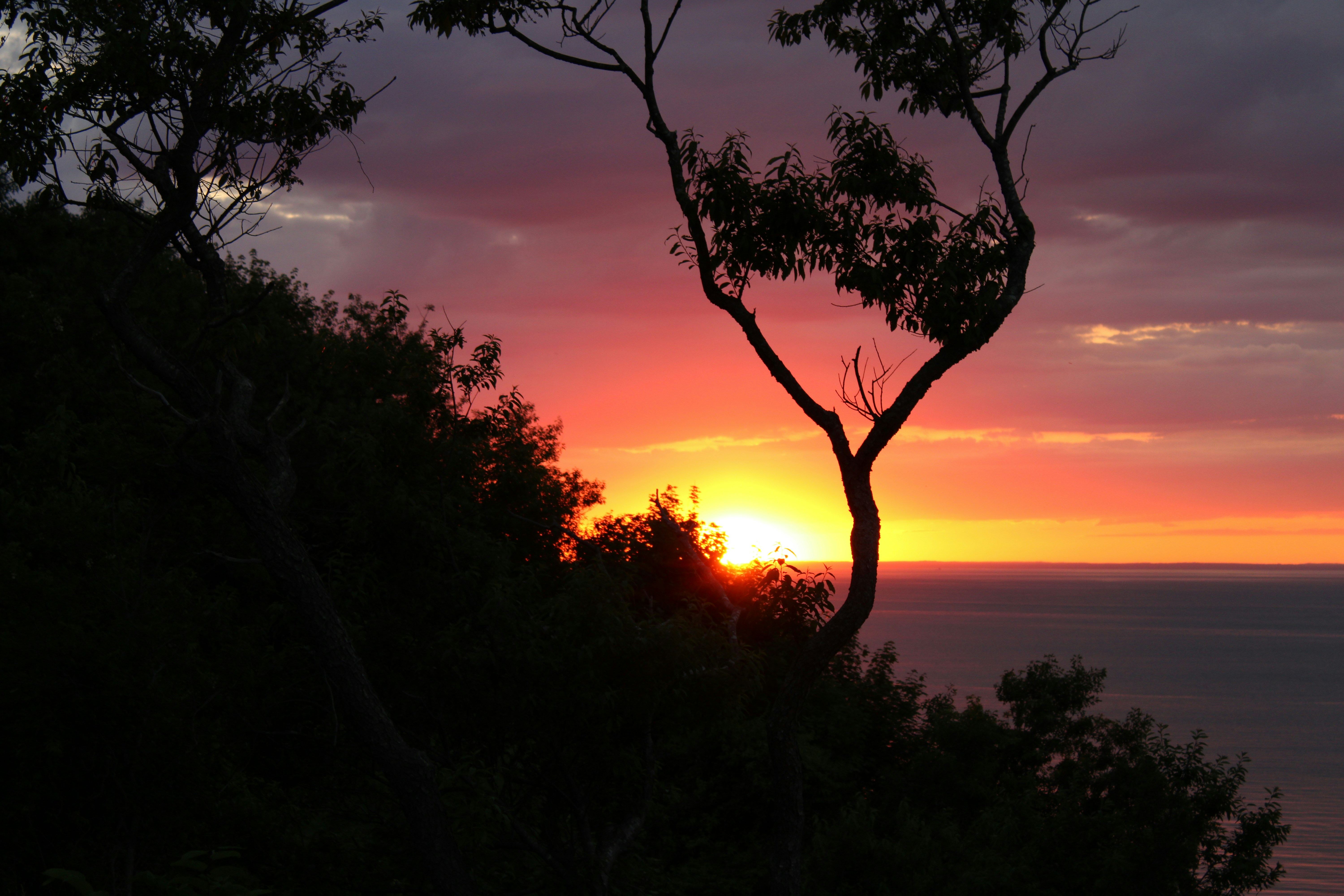 Sunset Silhouette: A Lone Curved Tree Framing the Horizon