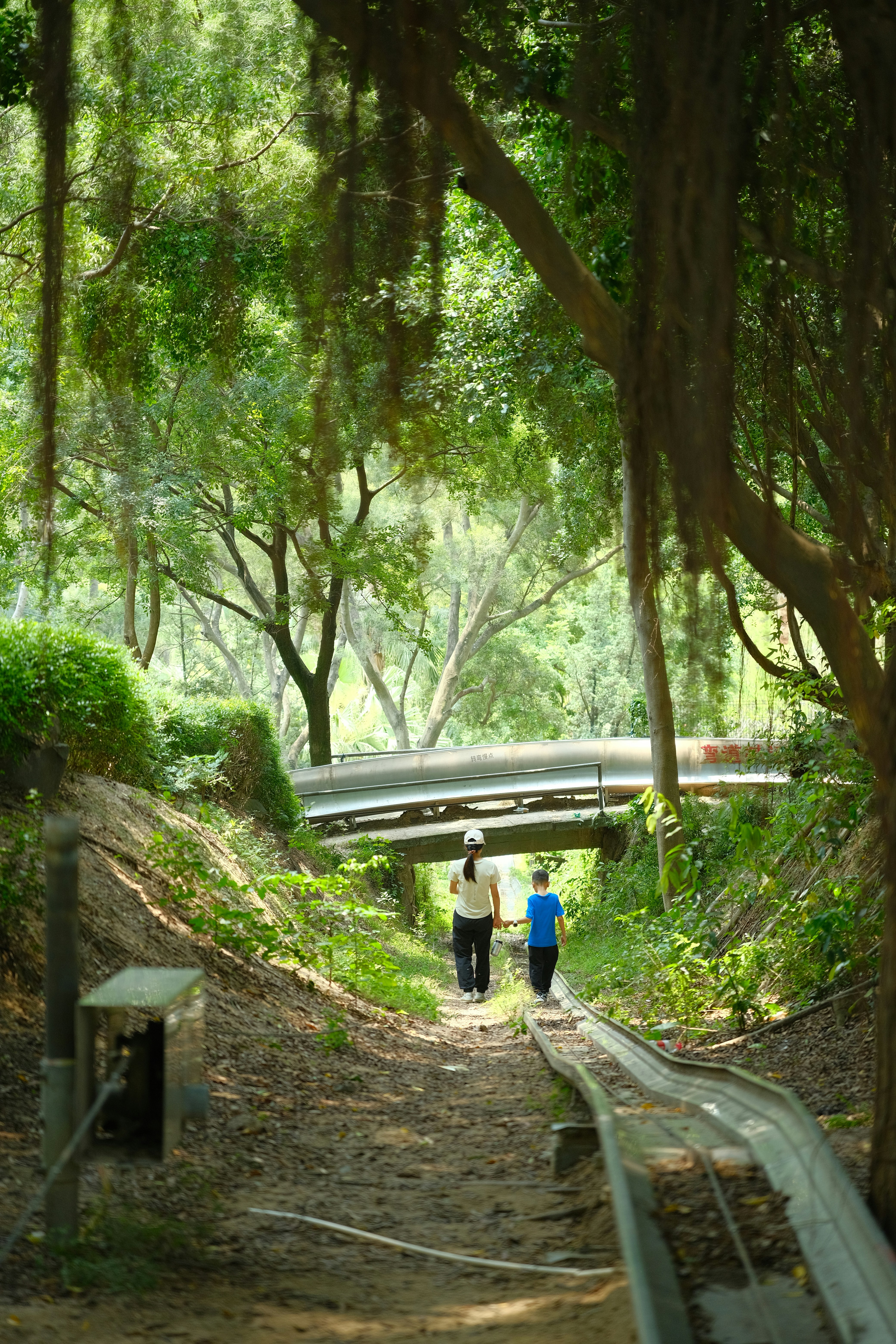 Journey Under the Green Canopy: A Parent and Child Walk a Hidden Path
