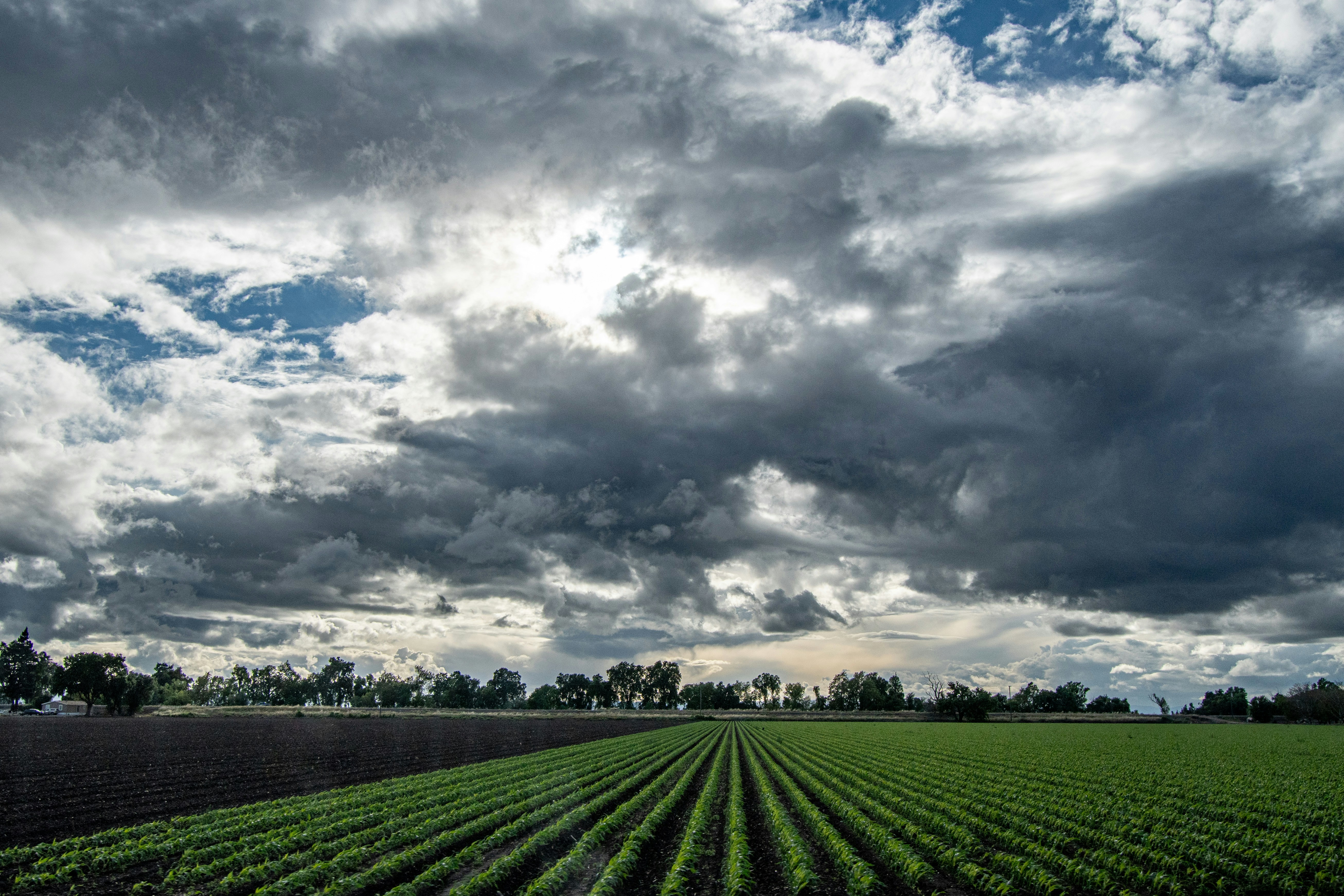 Ridge Lines of Green: A Farmland Under a Storm-Swept Sky