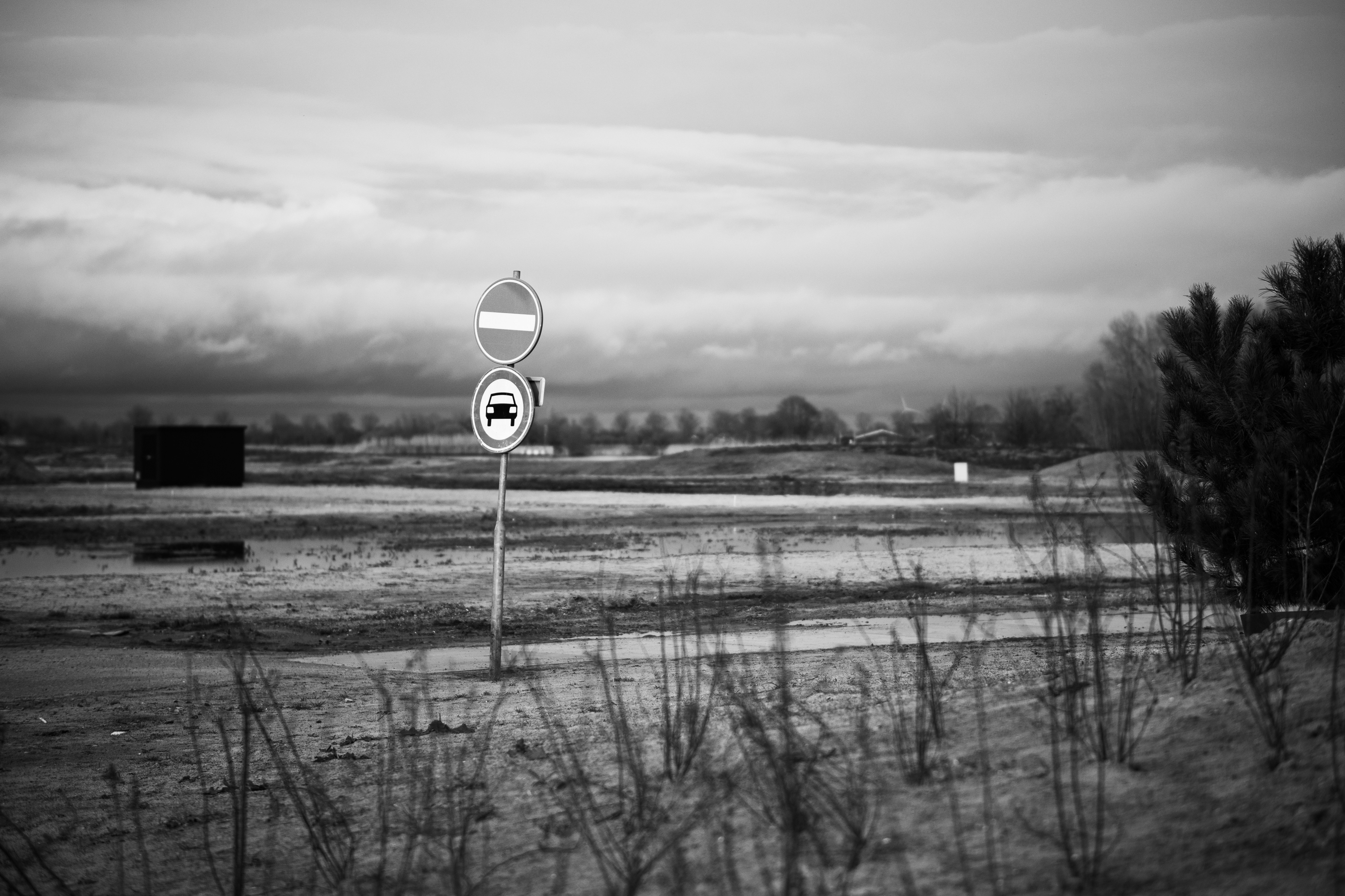Desolate Crossroads: A Deserted Signpost in Snow-Burdened Landscape