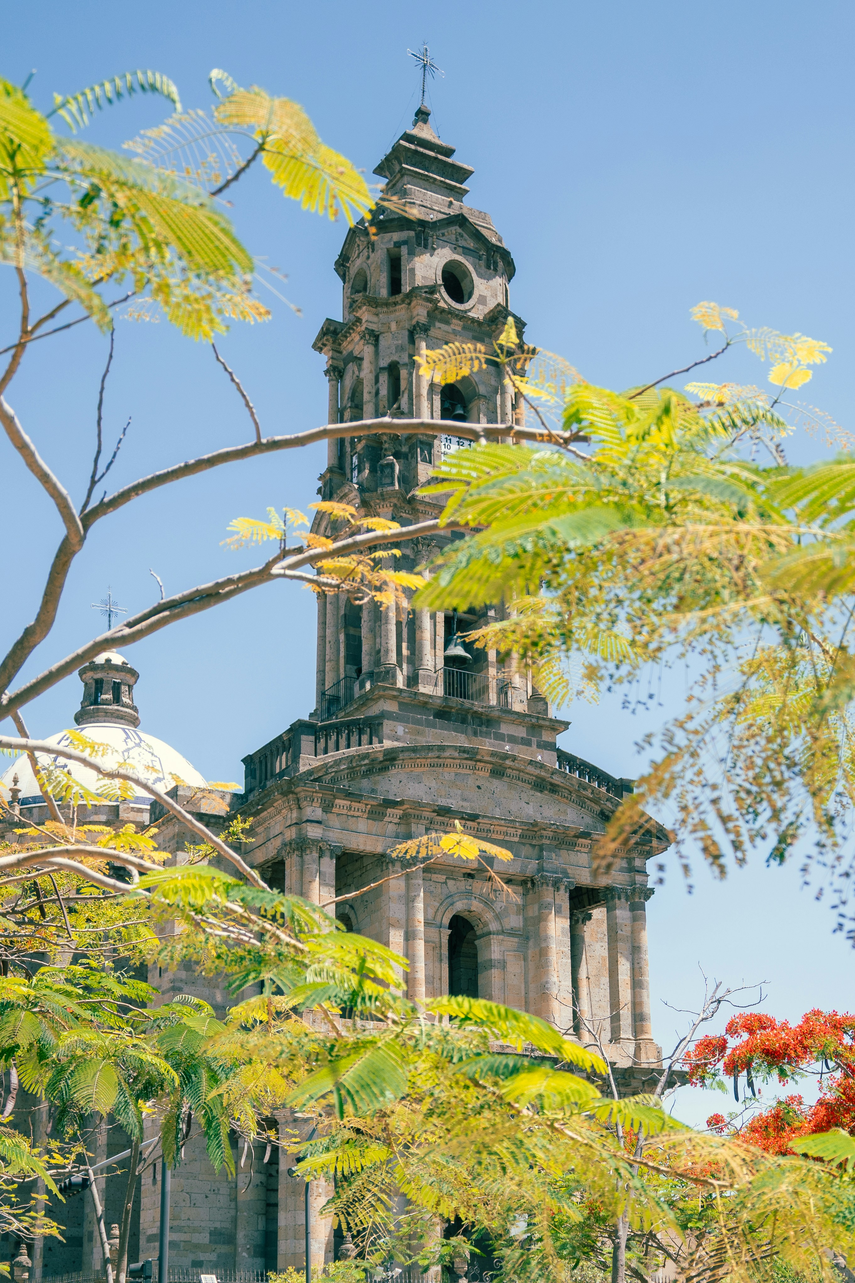 Bell Tower Rising Through Golden Canopy