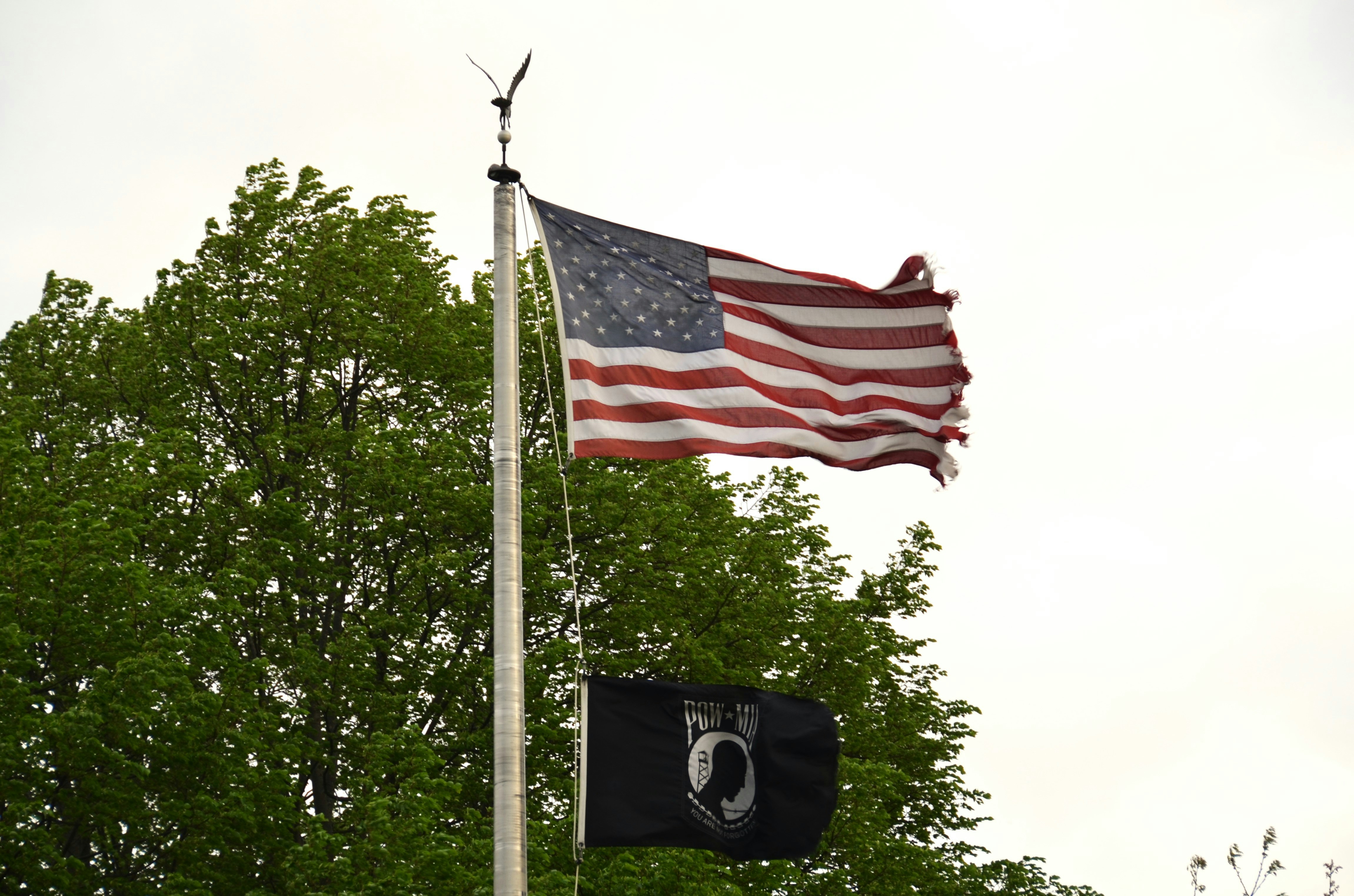 Rising Flag Over Quiet Trees