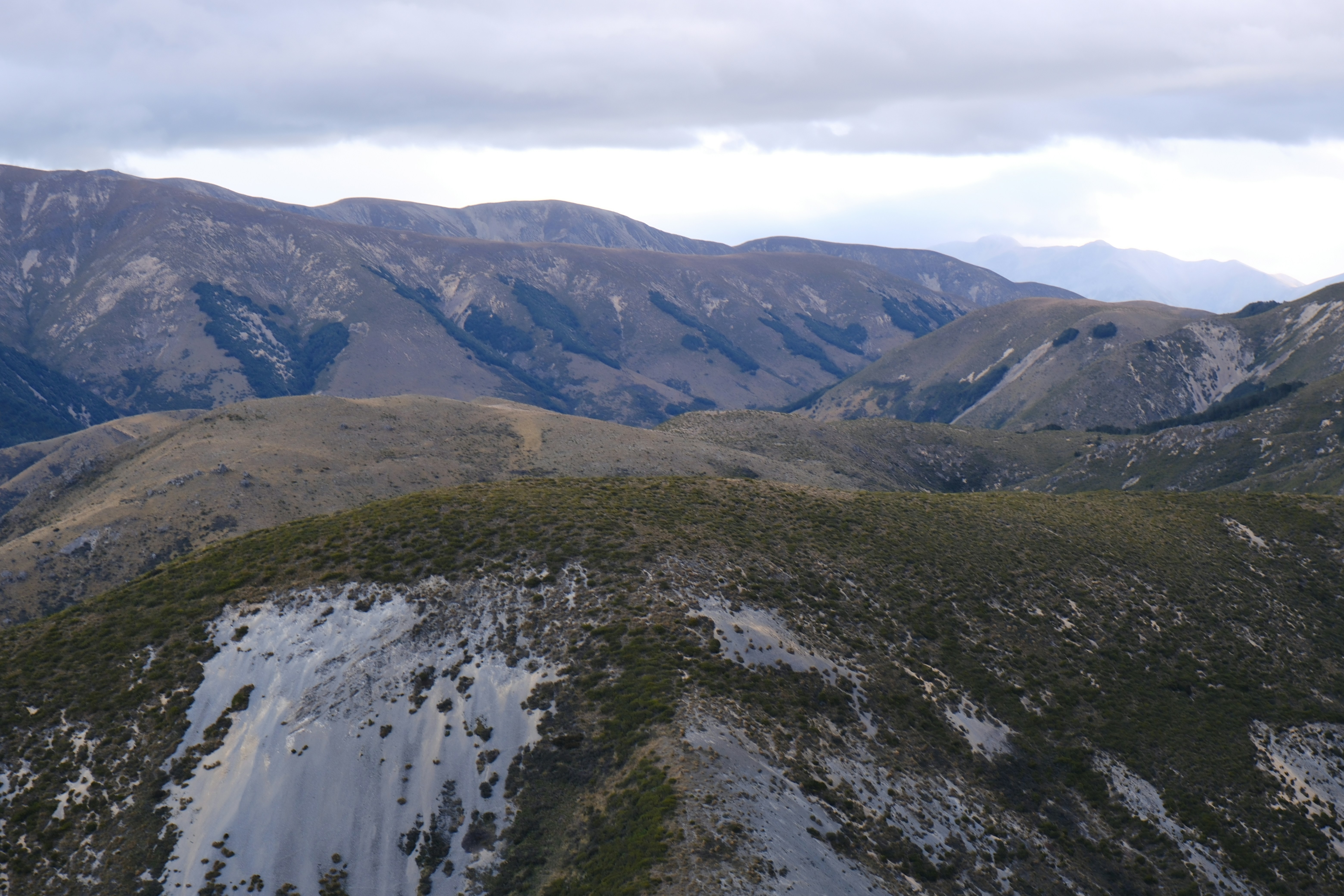 Horizon Ridge: A Quiet Transit Through Alpine Scrub