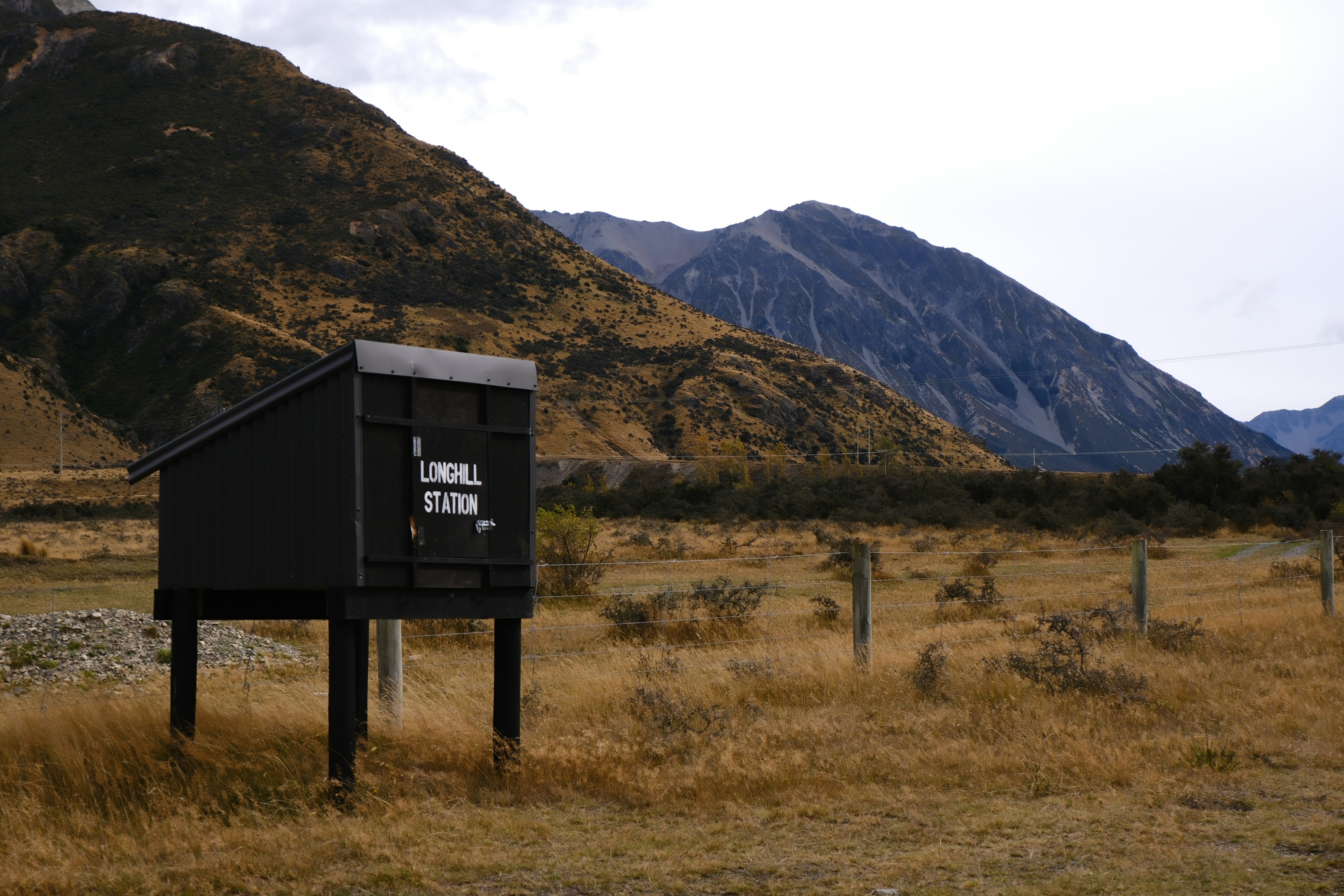 Lonely Stand at Longhill Pass