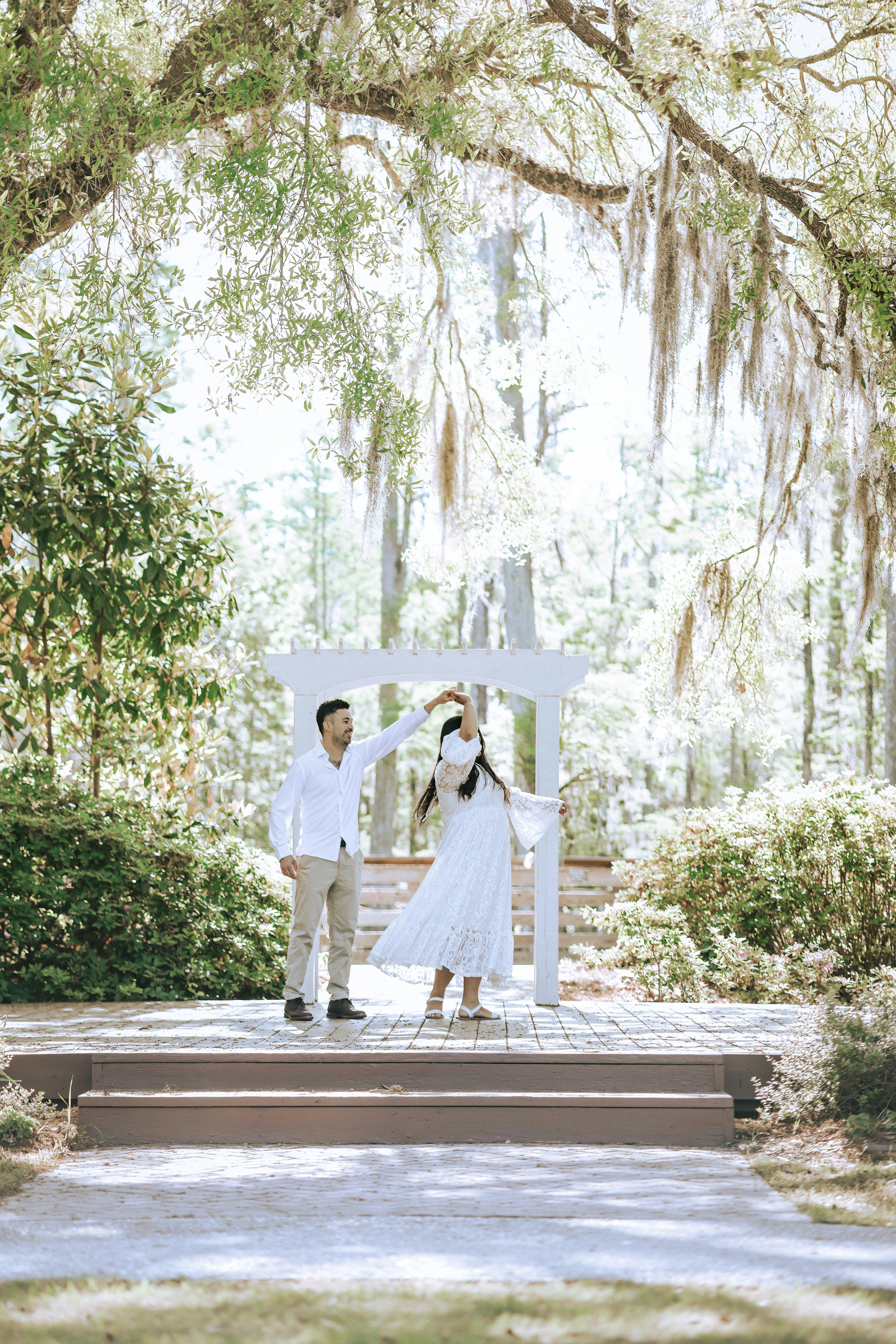 Dancing Under the Spanish Moss: A Quiet Moment Amid Garden Lights