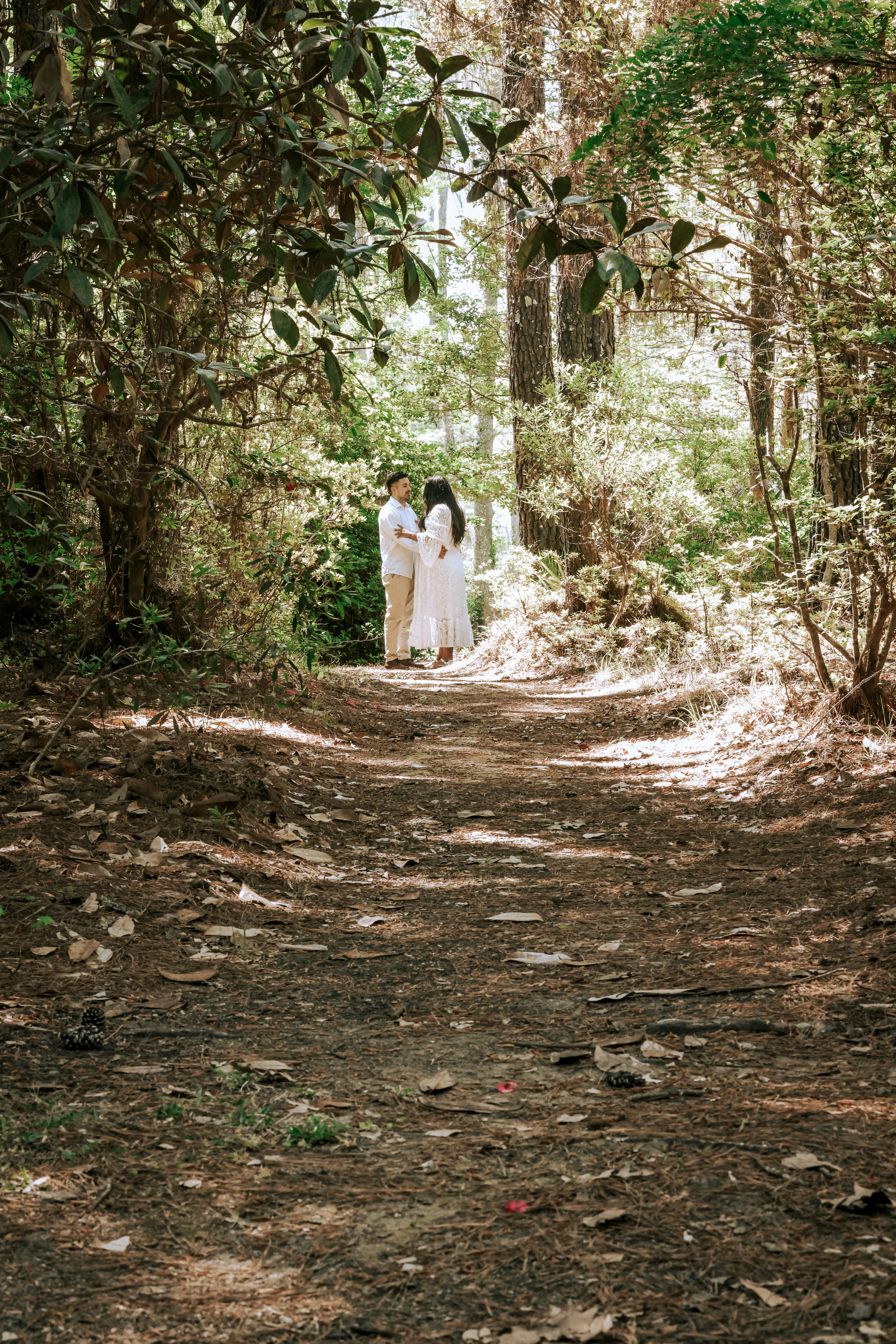 Two Souls in a Sunlit Forest Corridor