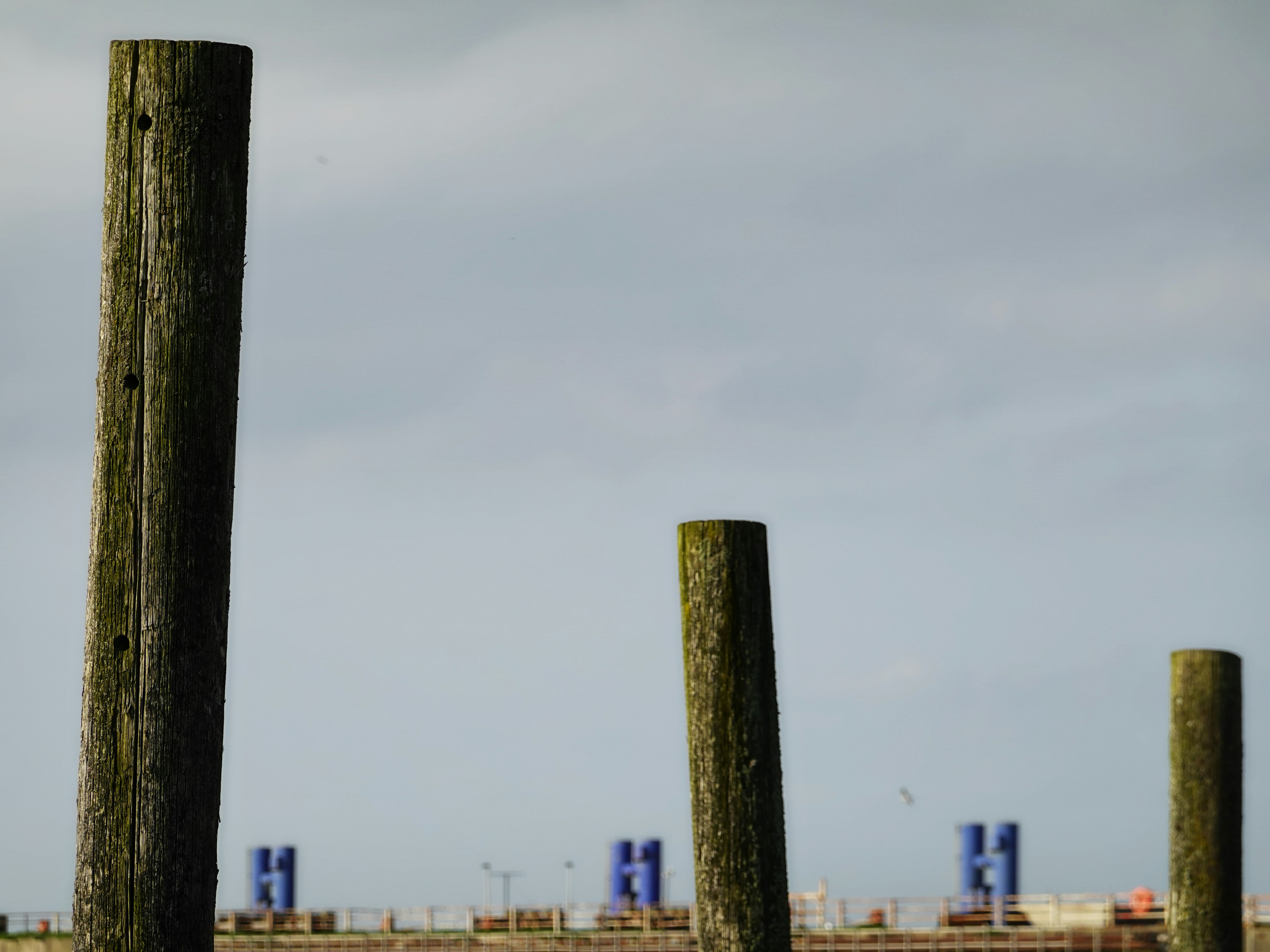 Weathered Pilings Lean Toward the Sea Horizon