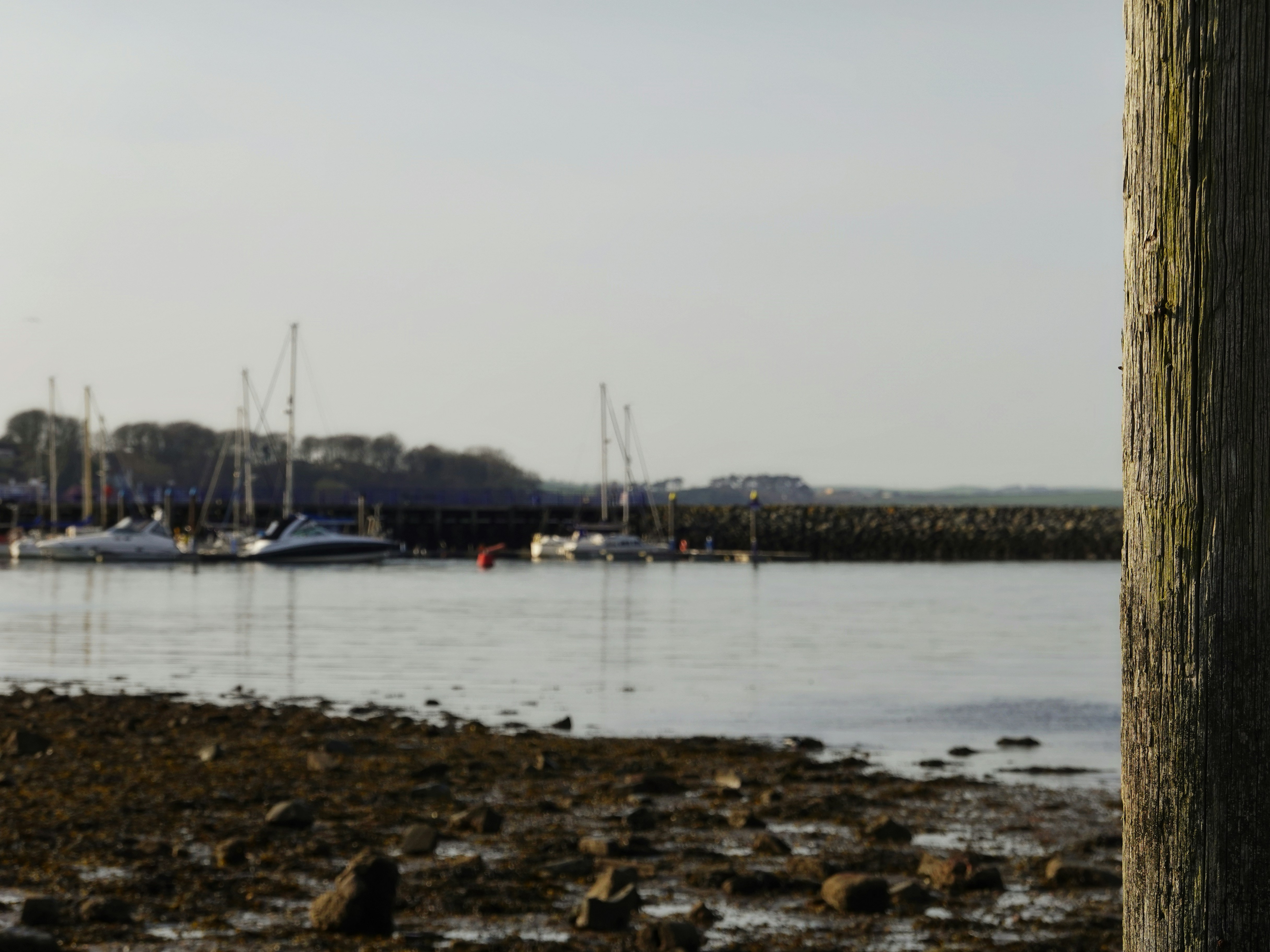 Harbor at Dusk: Boats Lulled by Quiet Waters