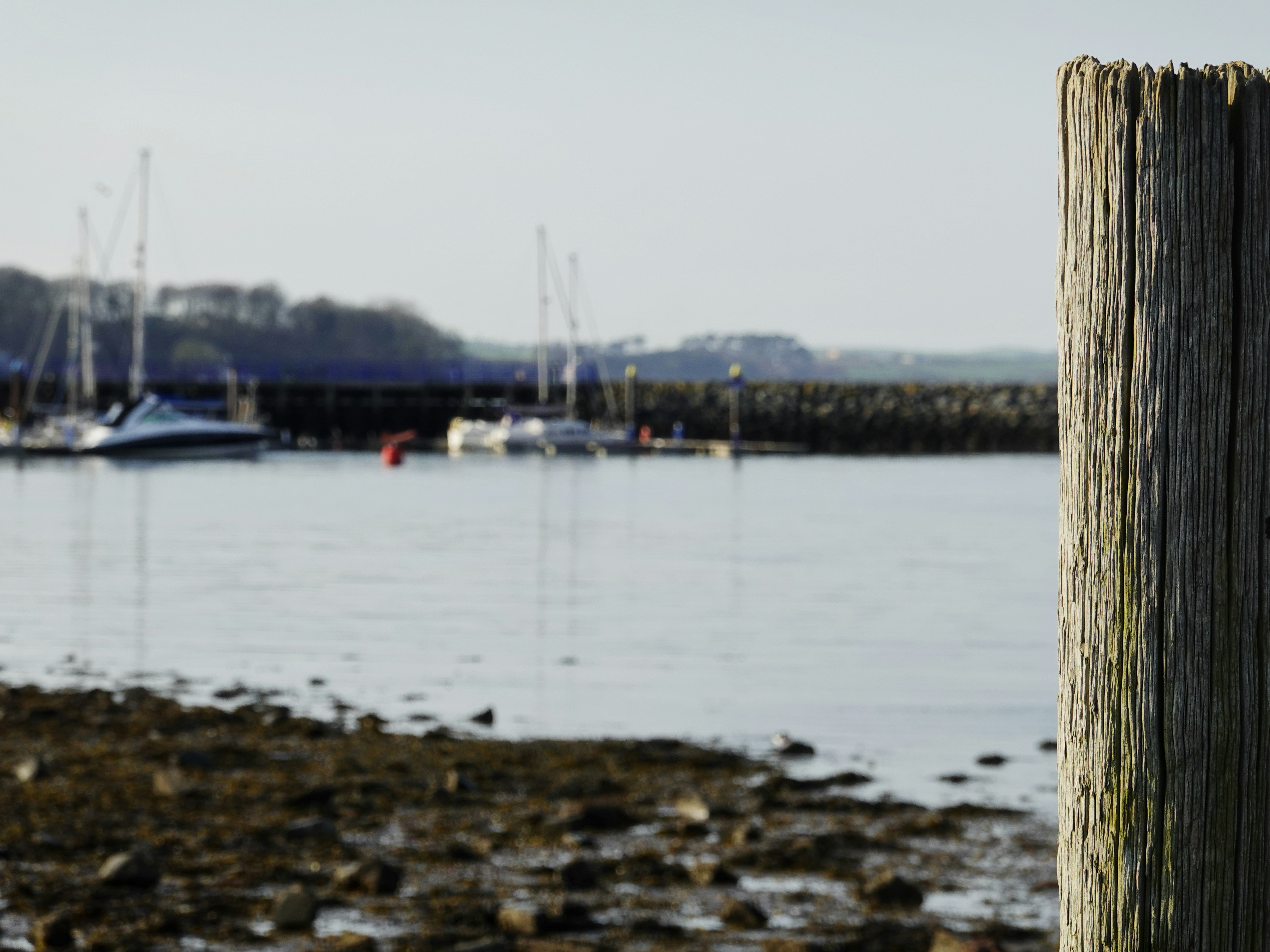 Weathered Moors and Waterfront Calm at Dusk