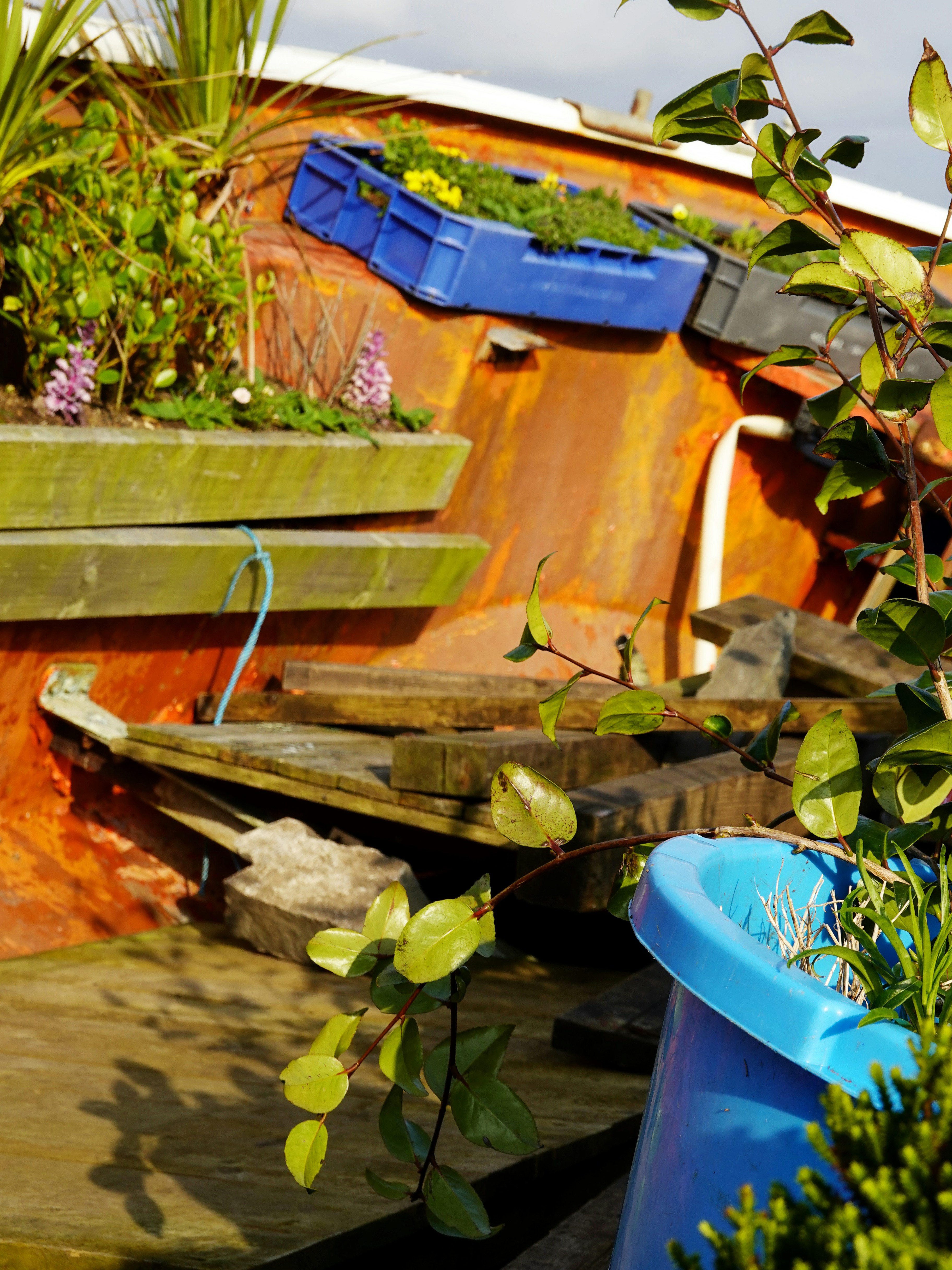 Blue Storage Bins and Planters on a Rusty Deck