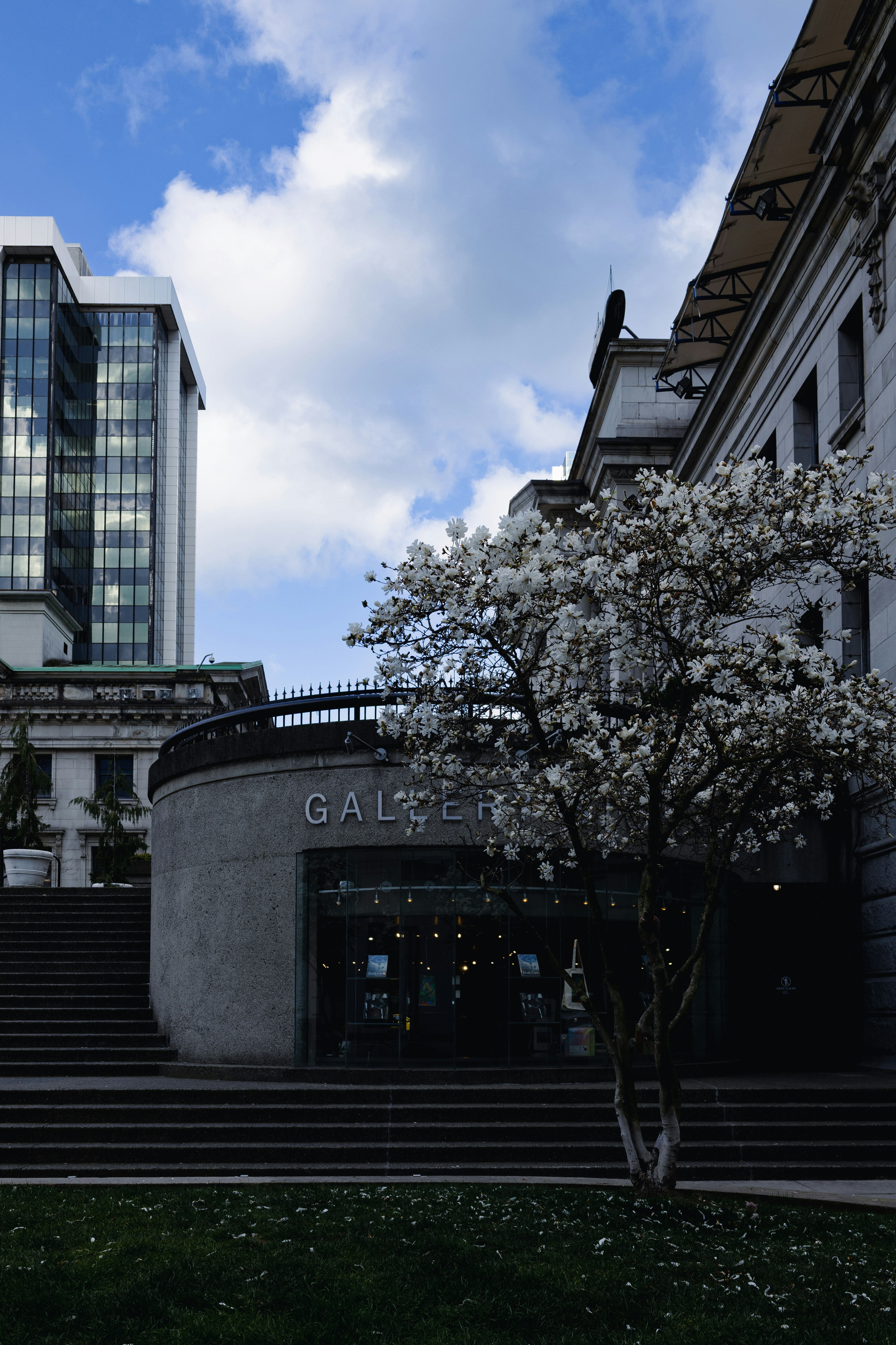 Urban Gallery Entrance Beneath Blooming Canopy