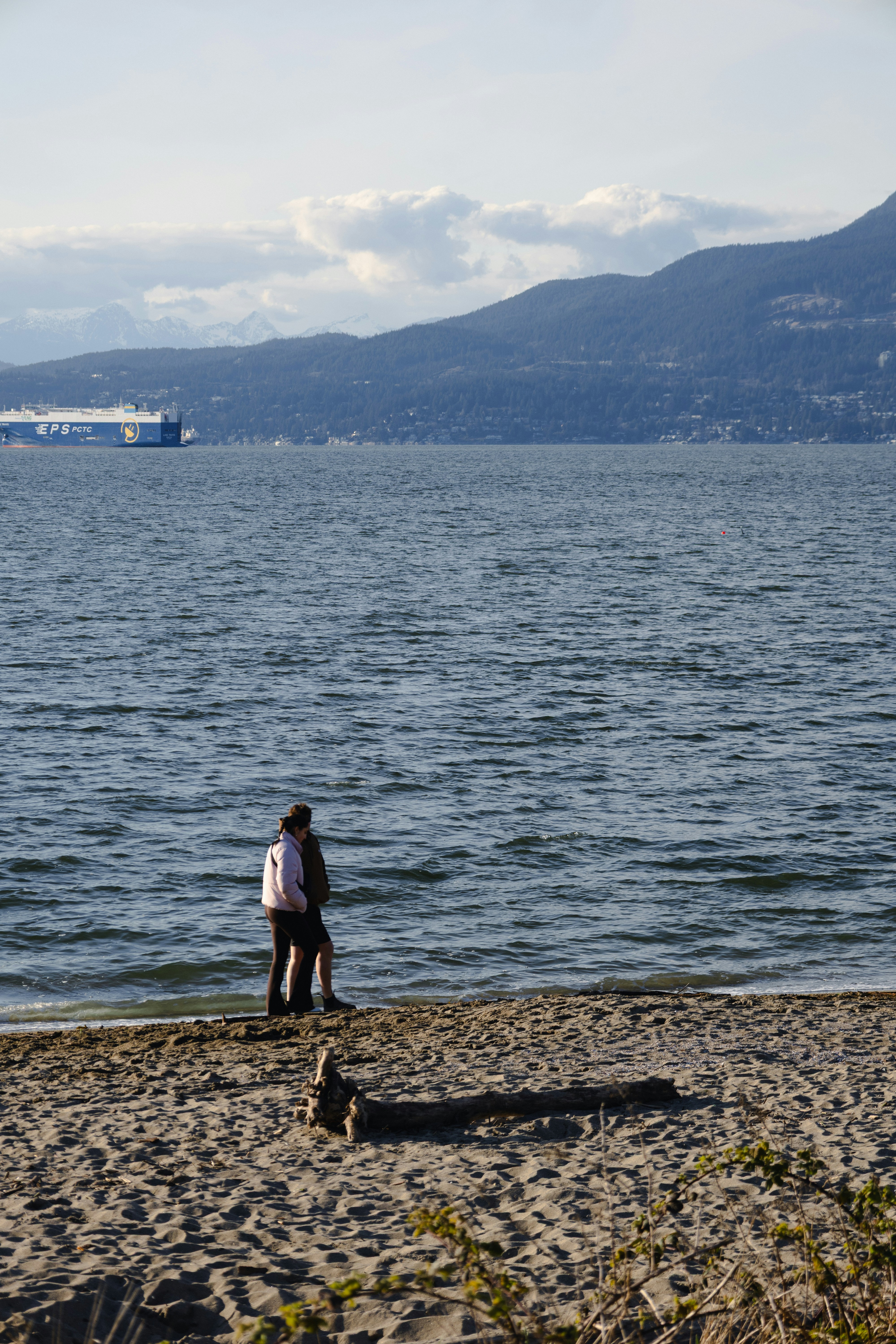Two Companions by the Shoreline