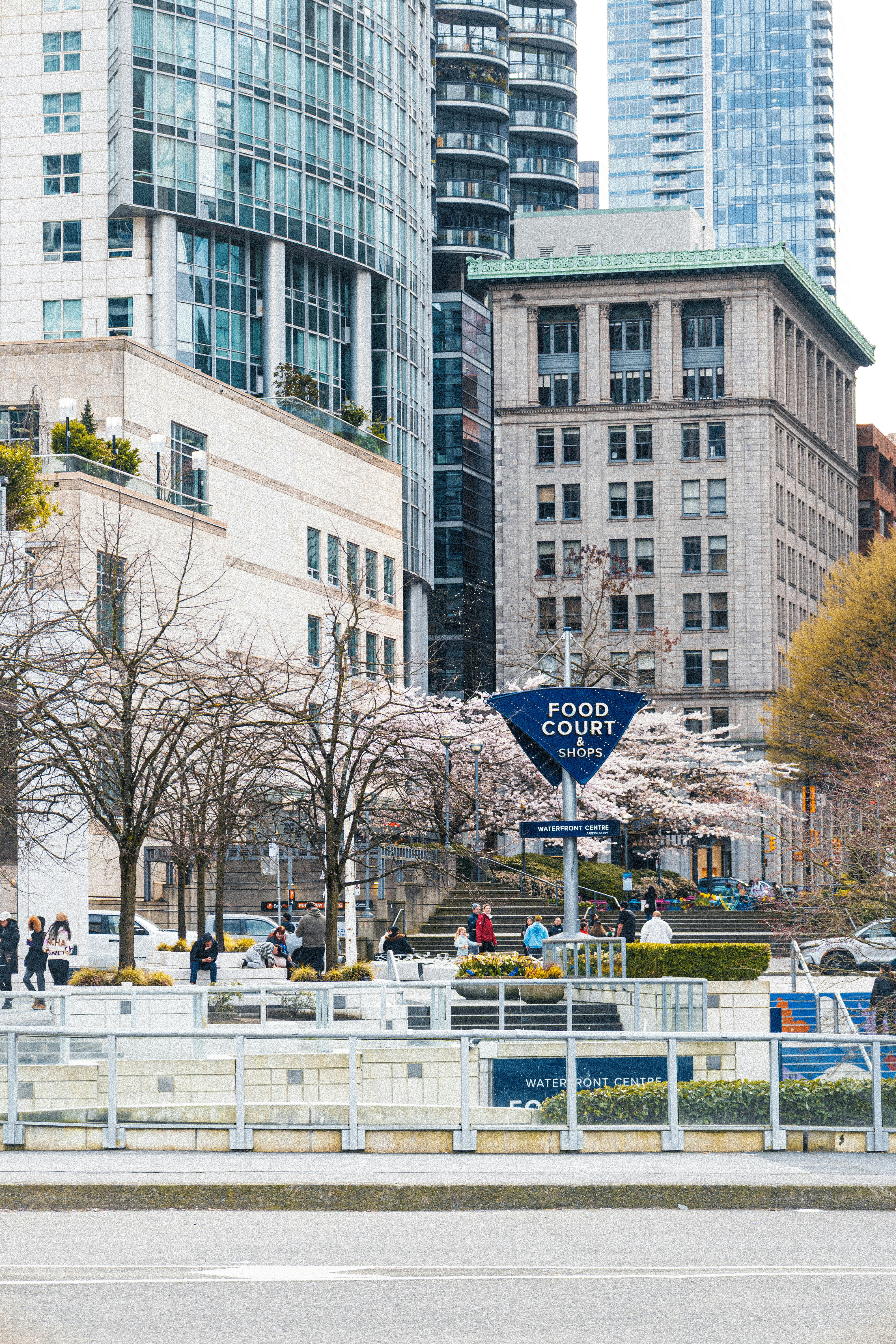 Urban Orchard: Blossoms Amid Skyscrapers by the Water