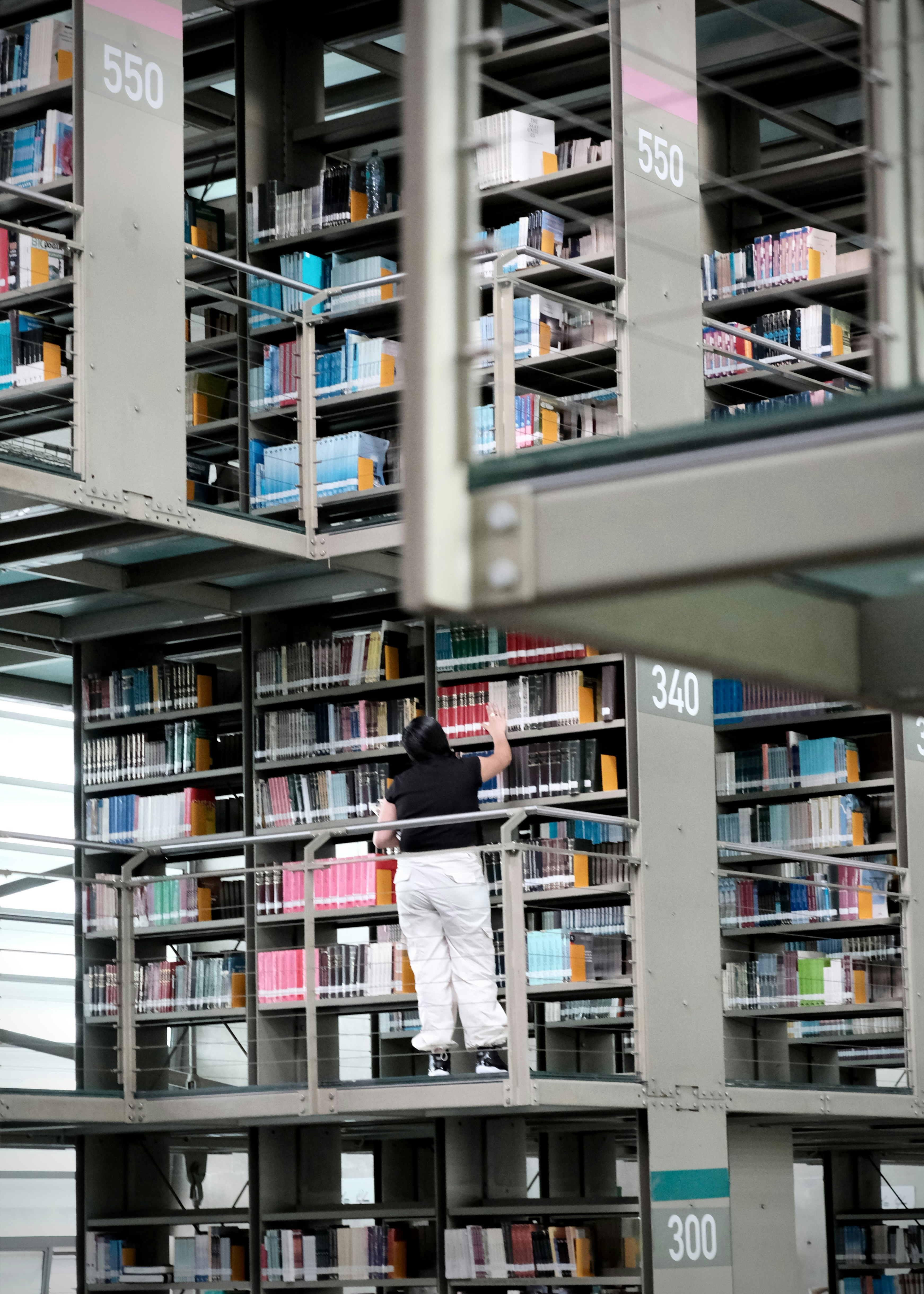 Ladder Among the Stacks: A Librarian Reaches for a Book in a Multi-Level Archive