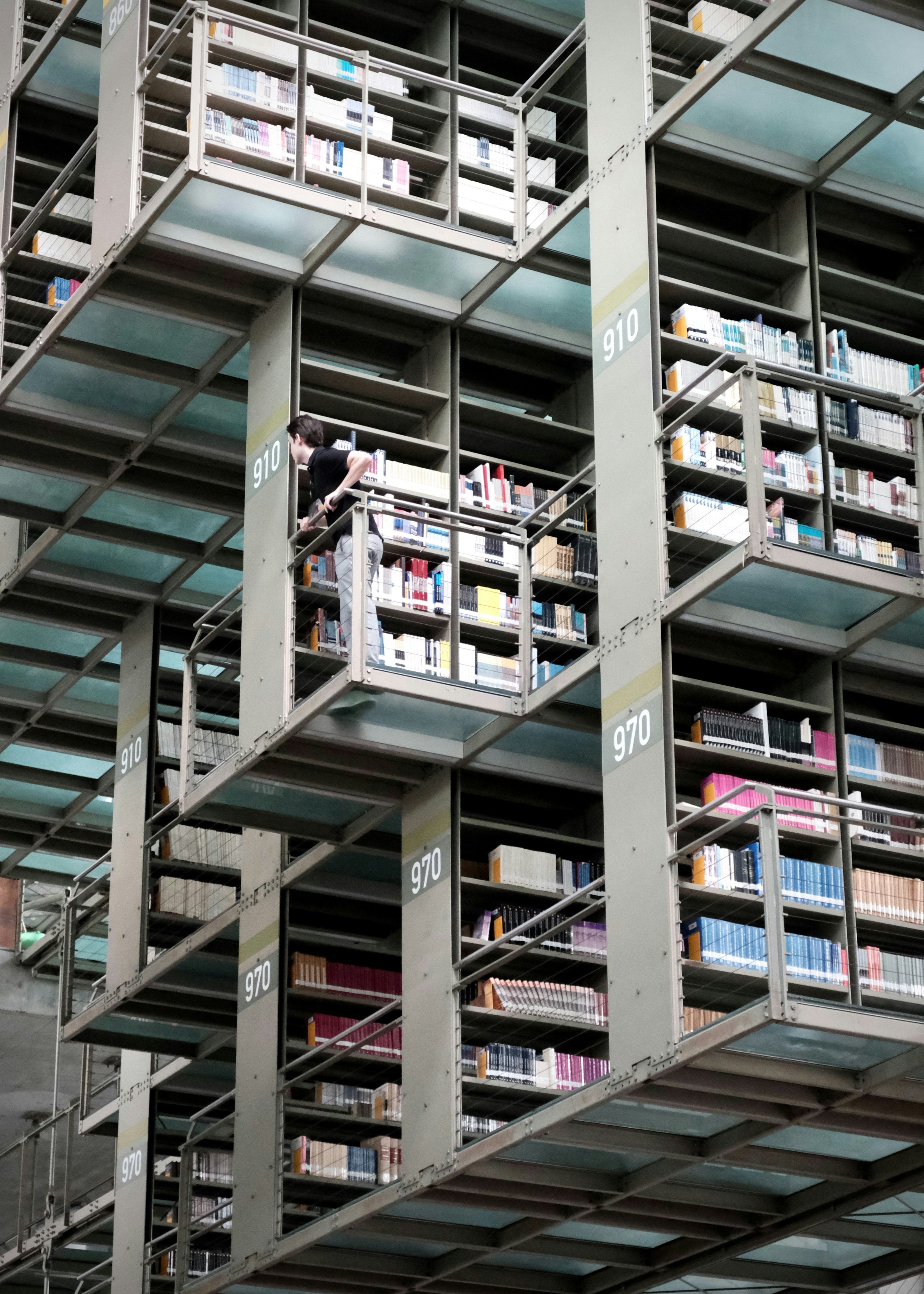 Climber Among the Stacks: A Bookshelf Structure in Motion