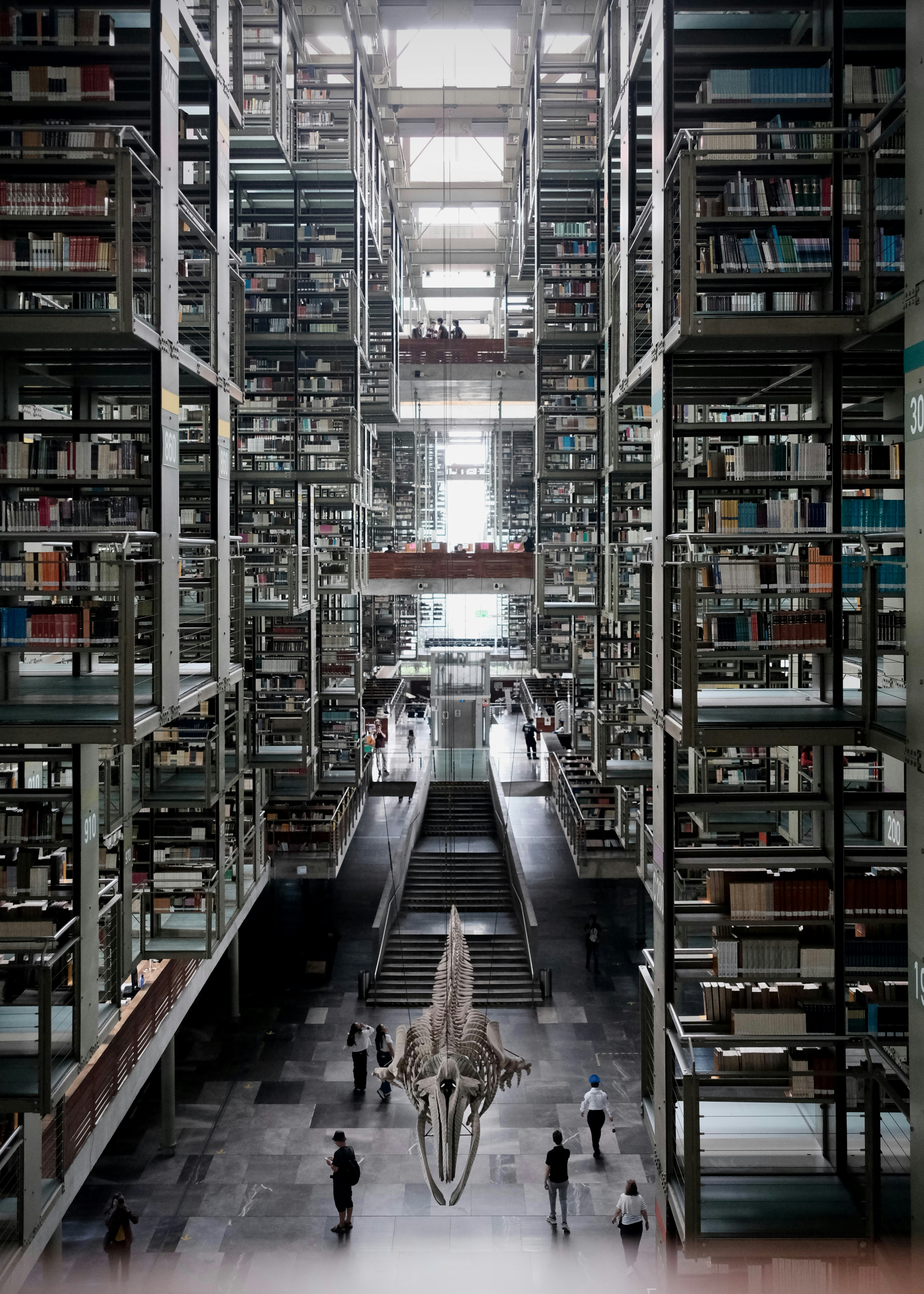 The Atrium of Echoes: A Dino in the Stacks