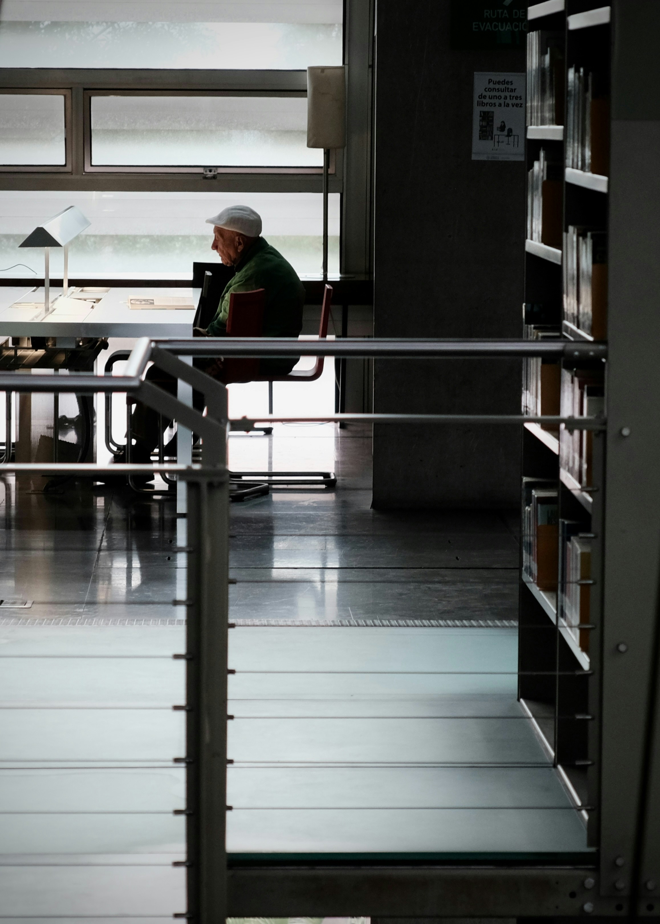 Quiet Focus: An Elderly Reader in a Sunlit Library