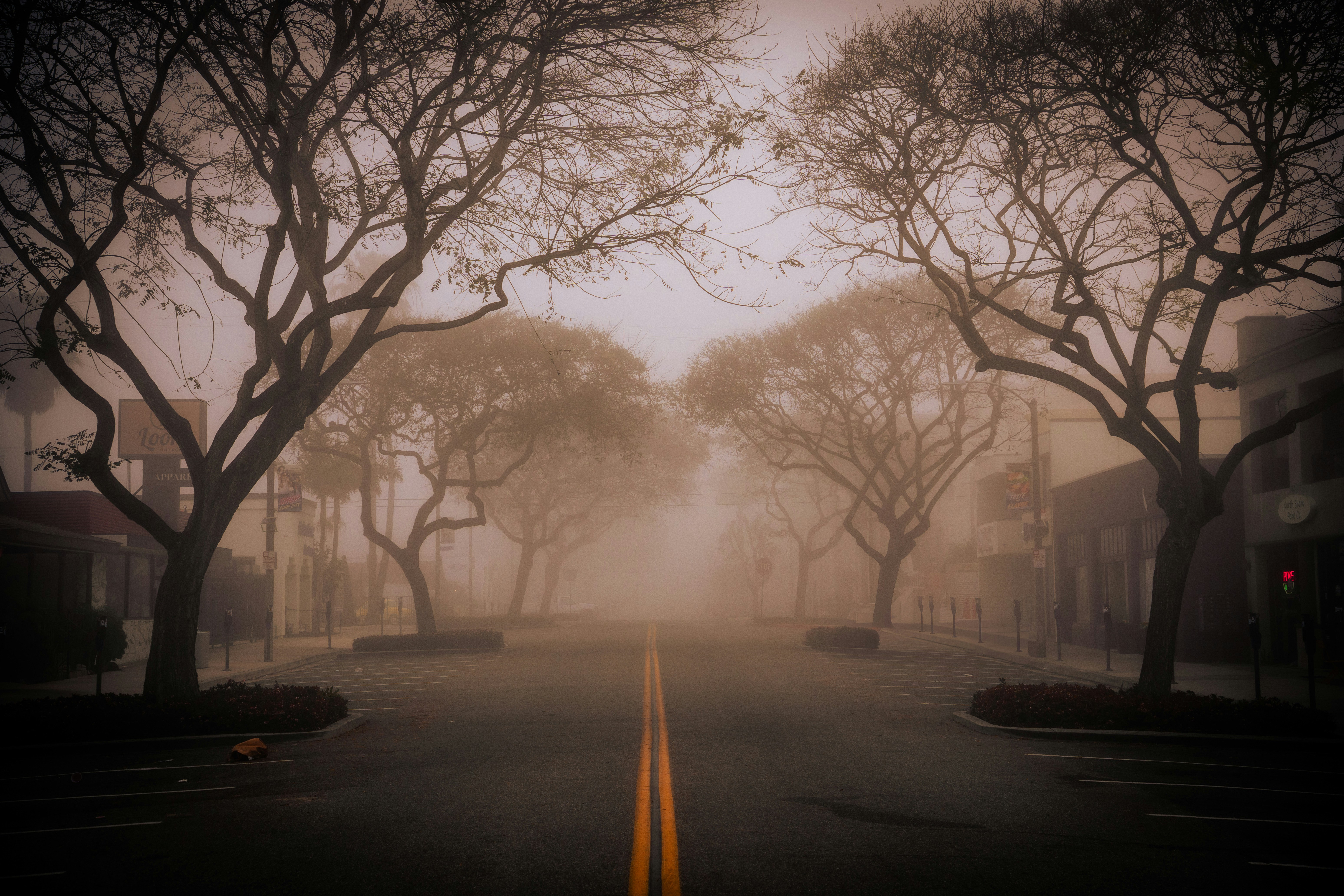 Fog-Lined Main Street Vanishing Point