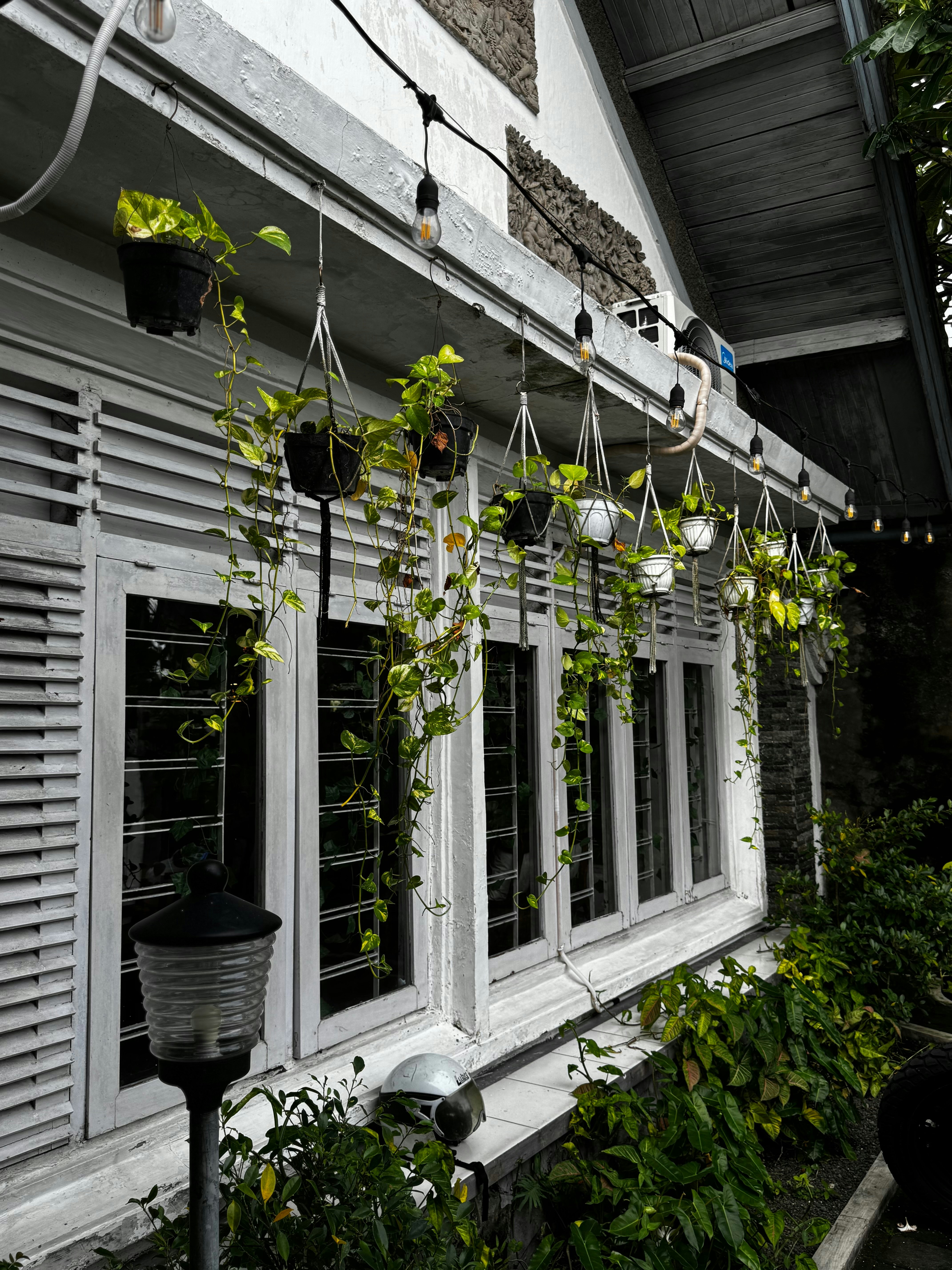 Hanging planters along a weathered white facade