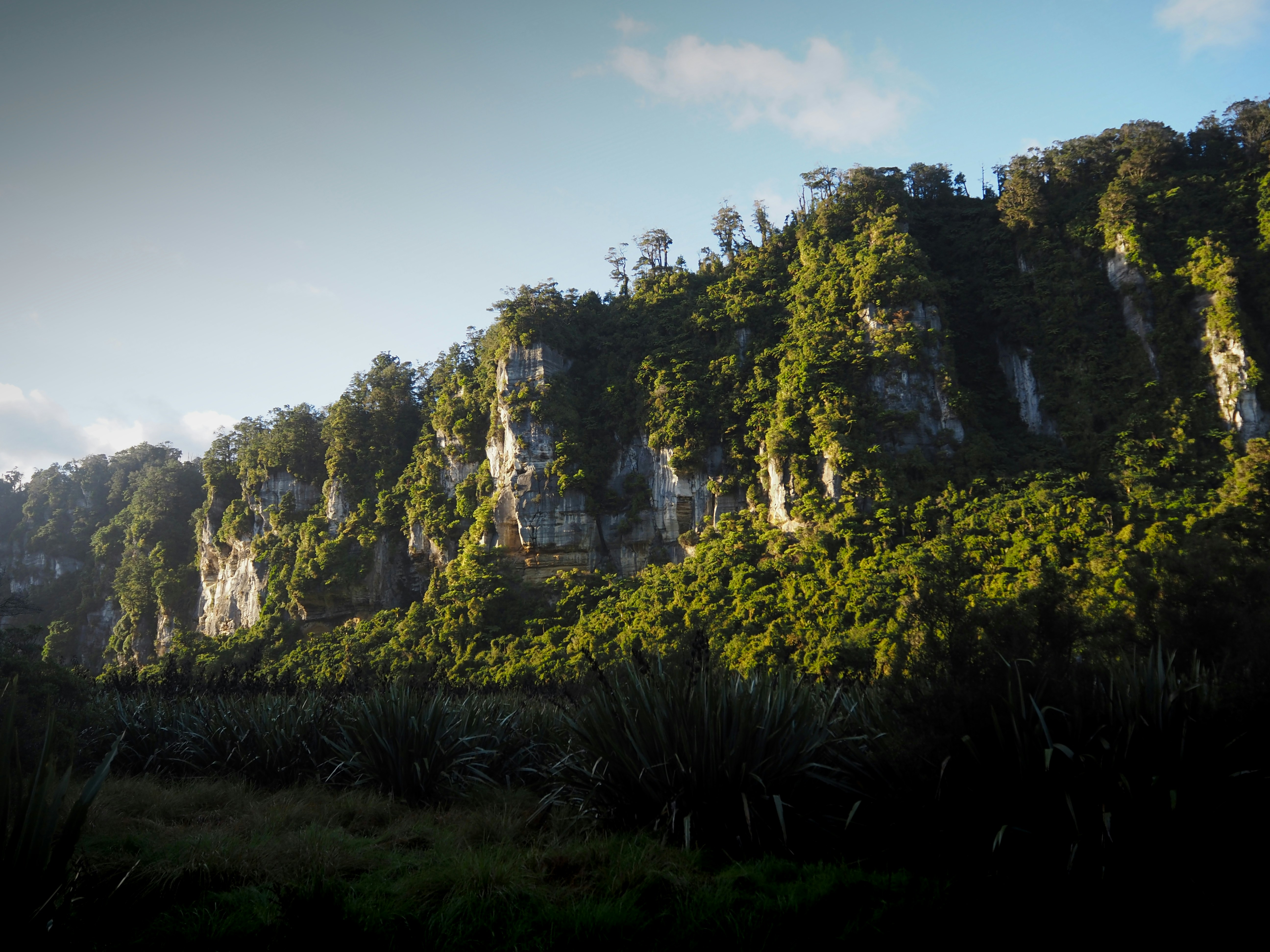 Verdant Cliffs at Dusk: A Quiet Rise Above the Marsh
