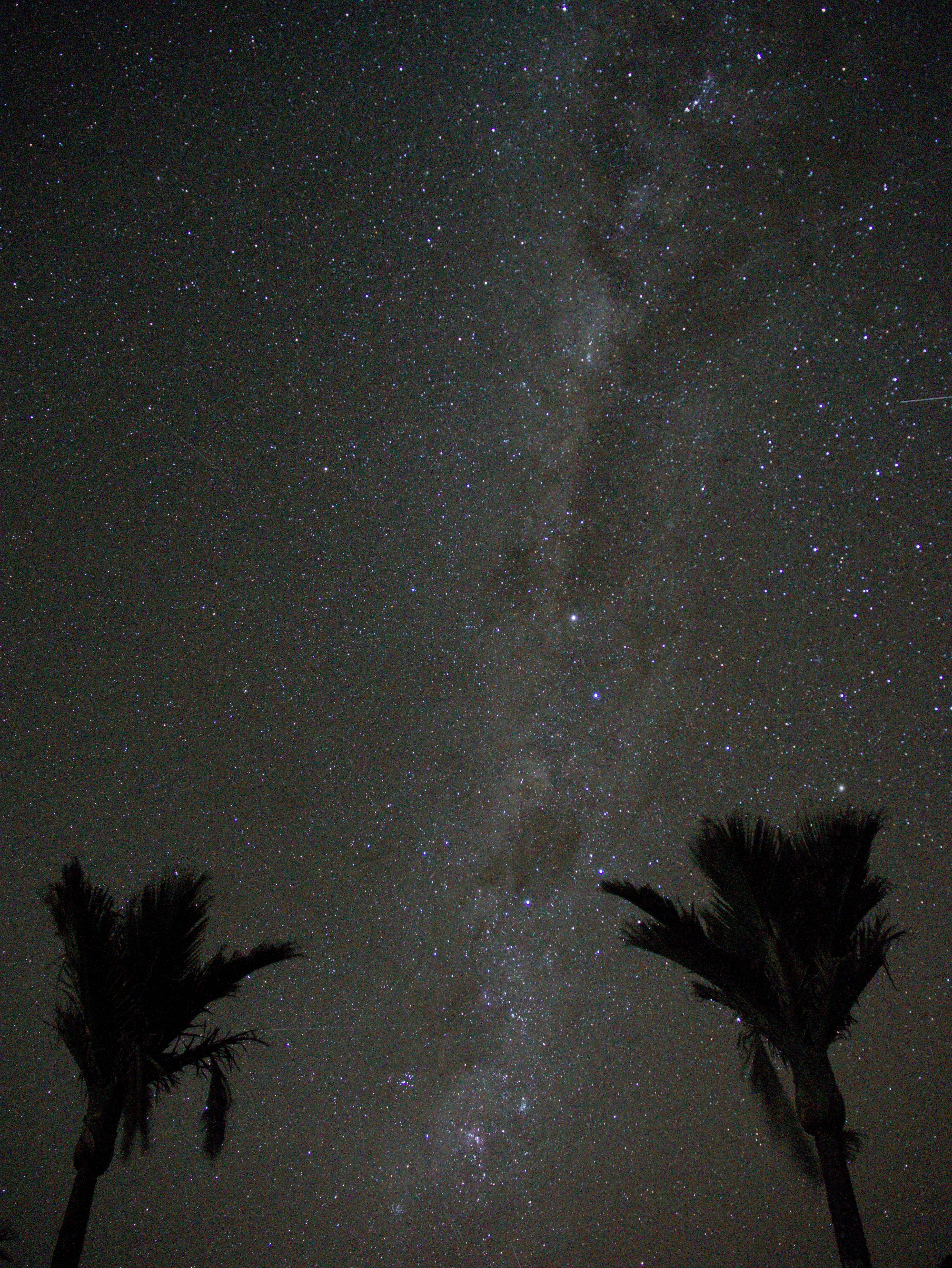 Milky Way Ribbon Over Palm Silhouettes